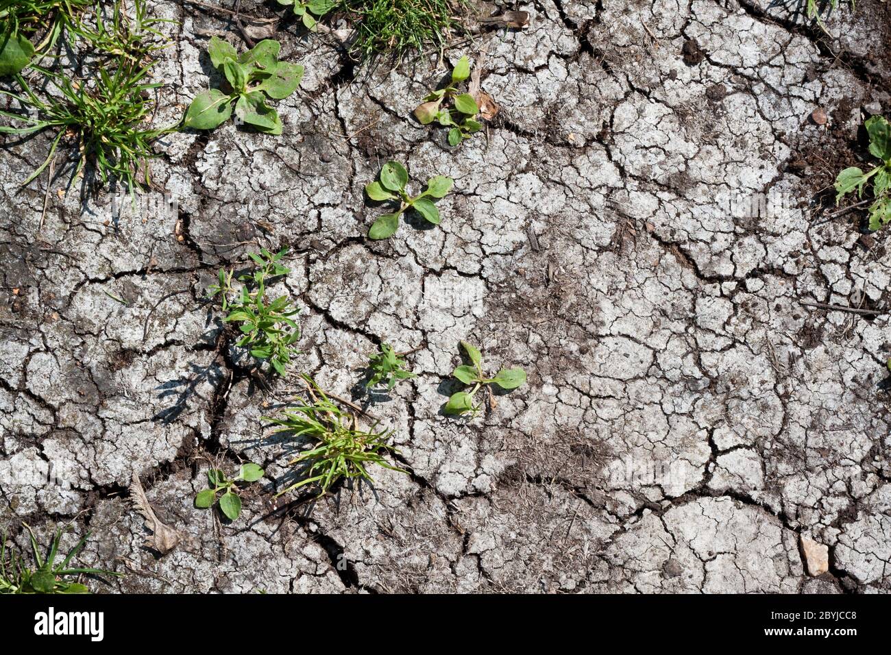 Separation of land hi-res stock photography and images - Alamy