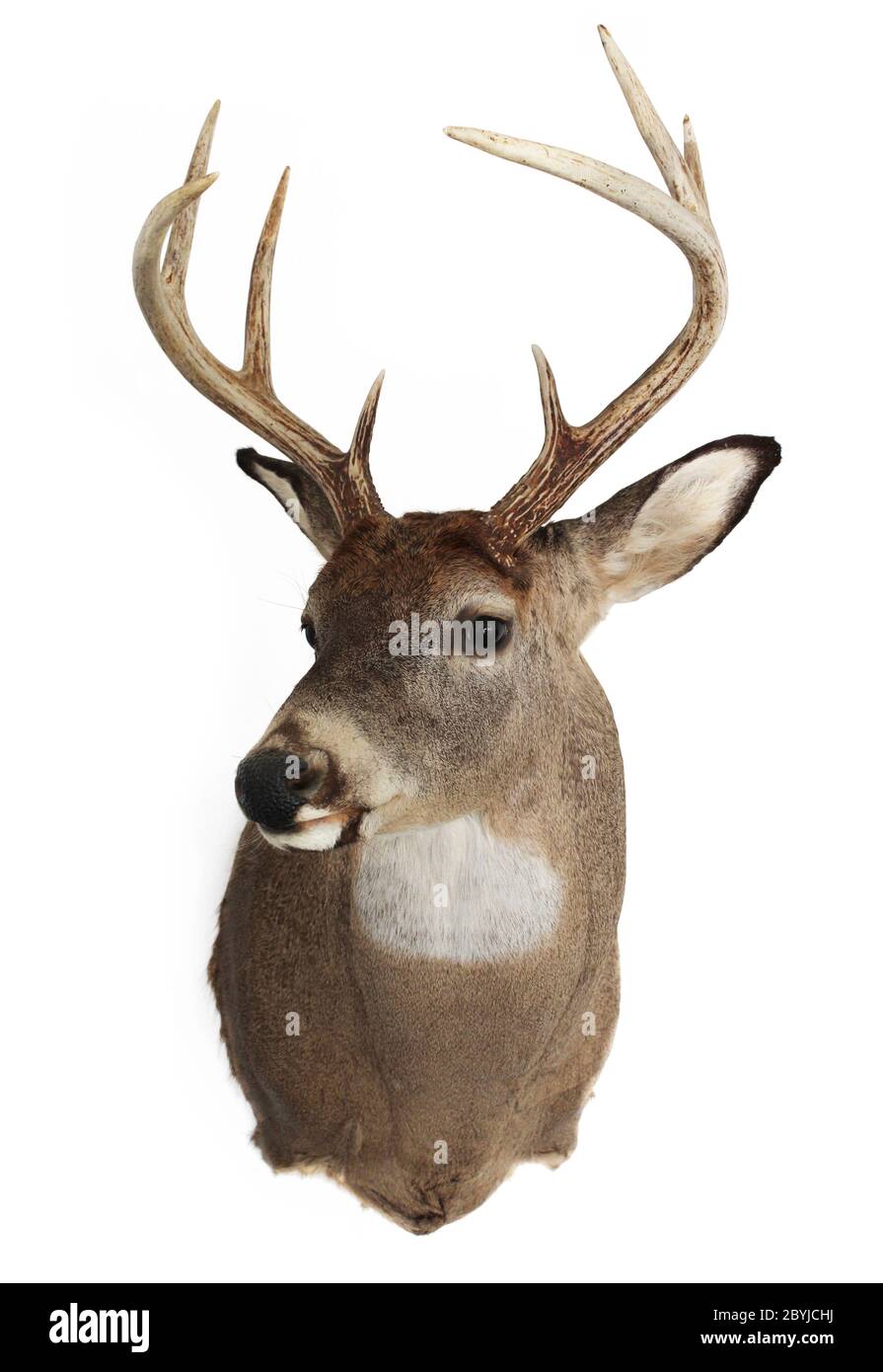 Trophy point Cut Out Stock Images & Pictures - Alamy