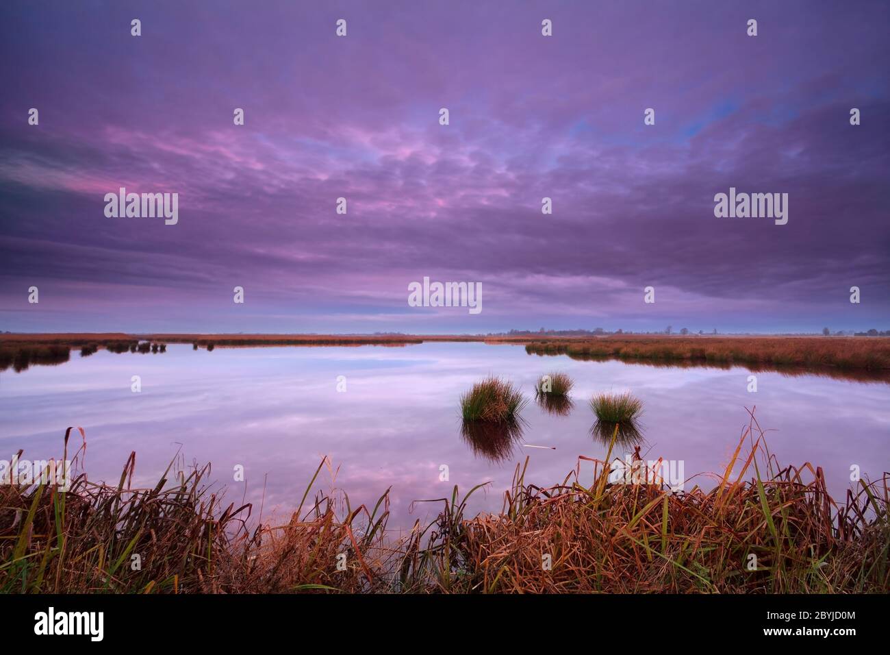 sunrise over swamp in Drenthe Stock Photo - Alamy