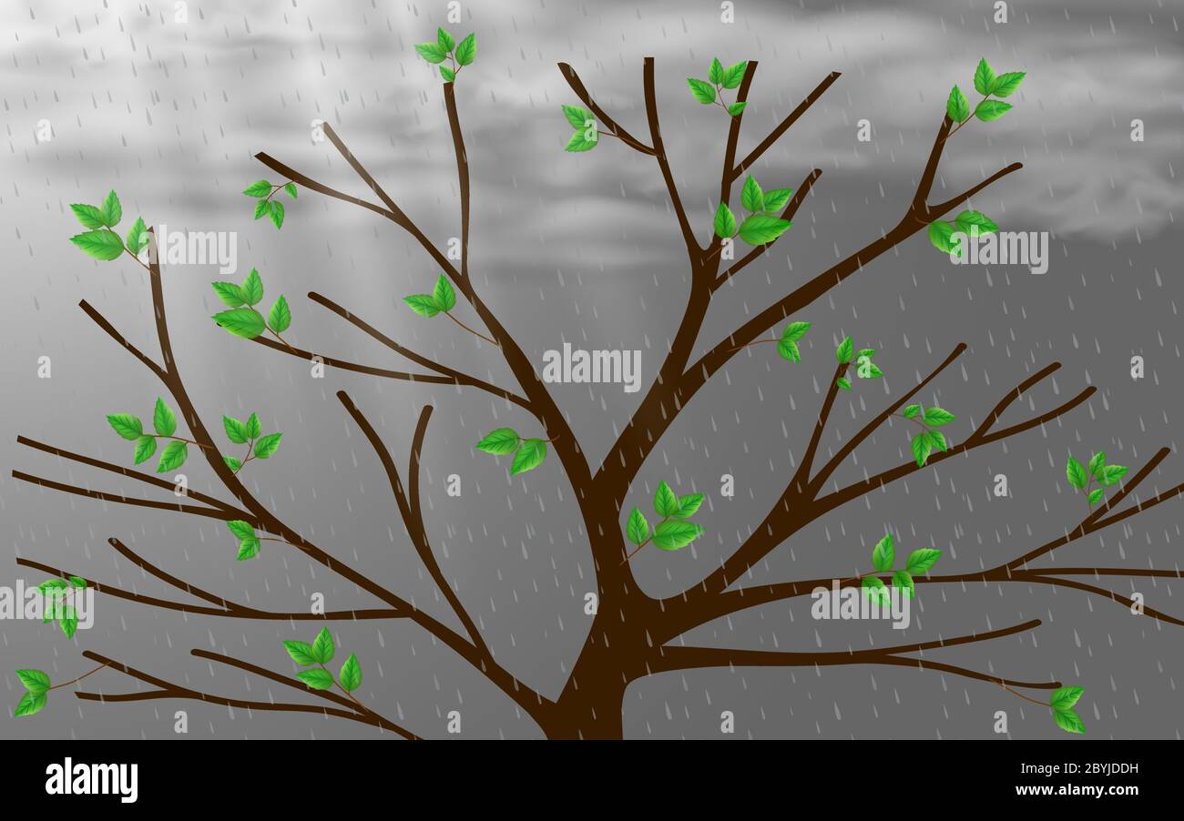 Rainy session Stock Vector Images - Alamy