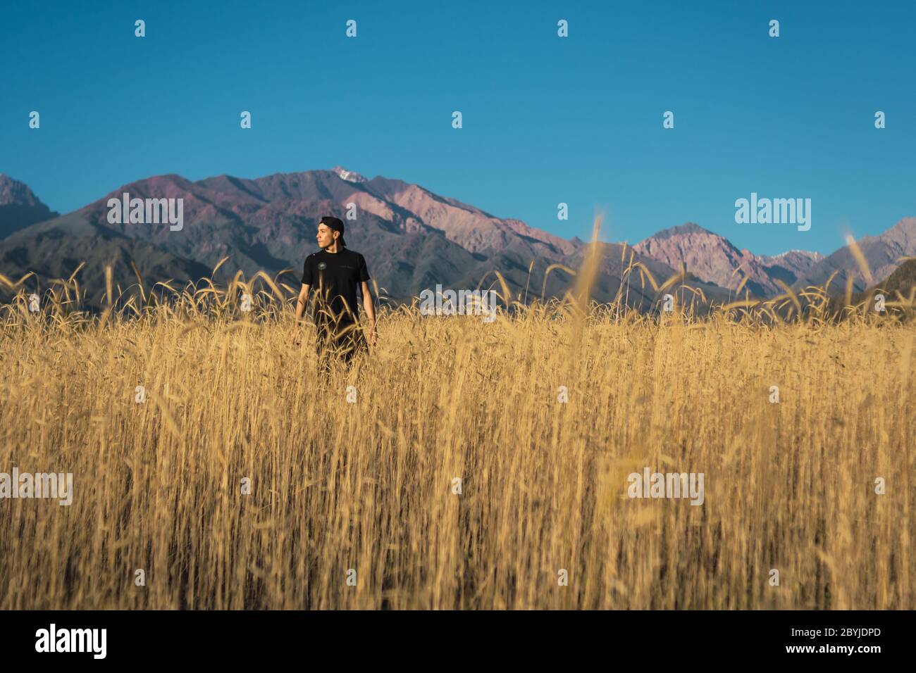 young man in field at dawn Stock Photo - Alamy
