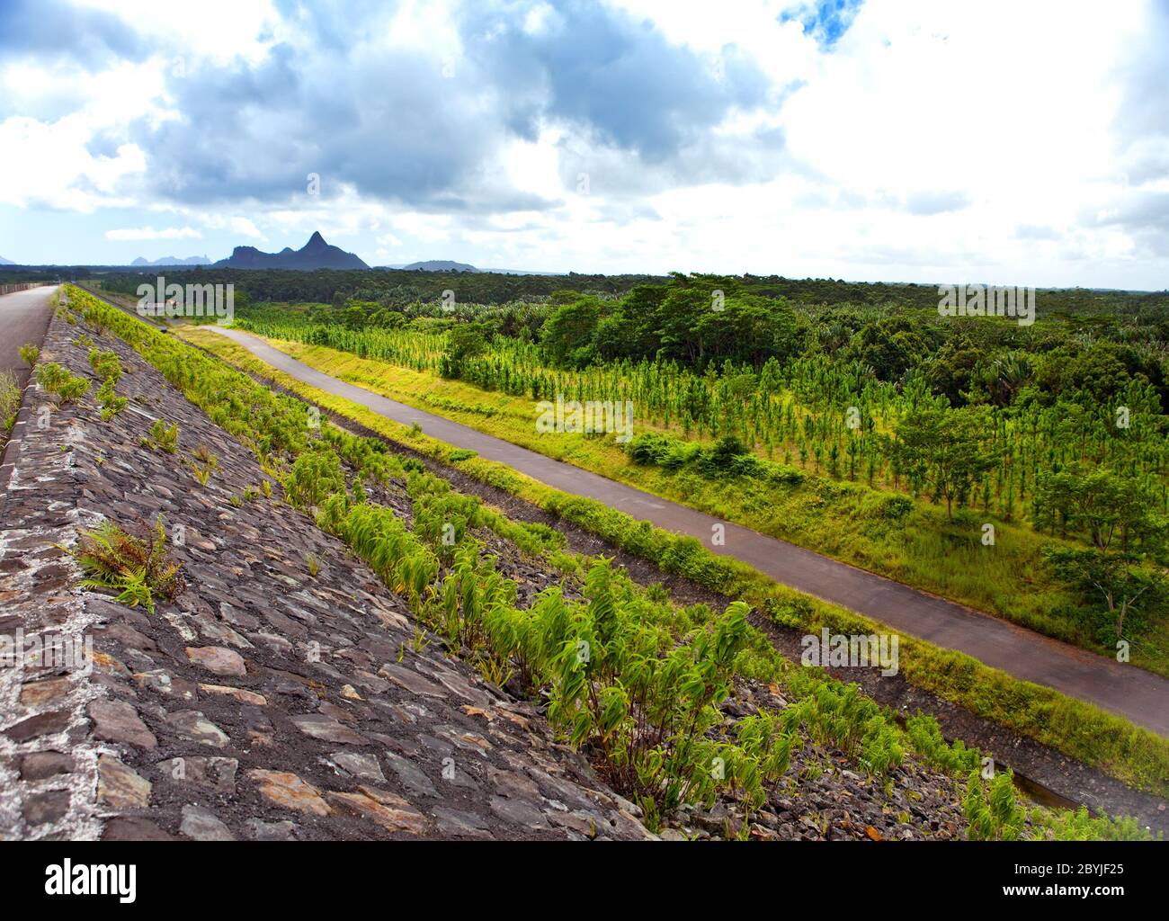 The road embankment hi-res stock photography and images - Alamy