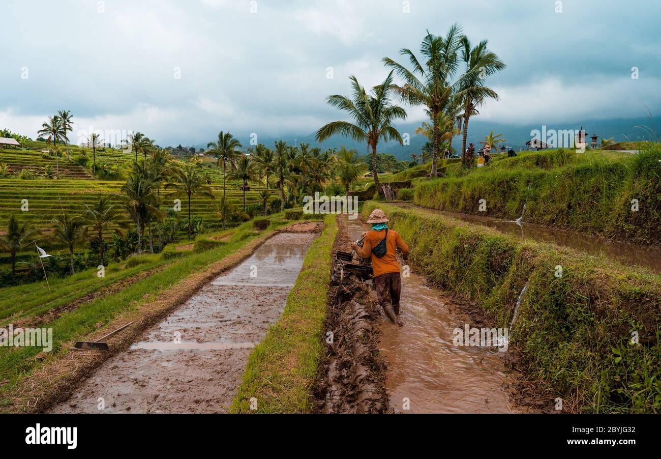Ubud young man hi-res stock photography and images - Alamy