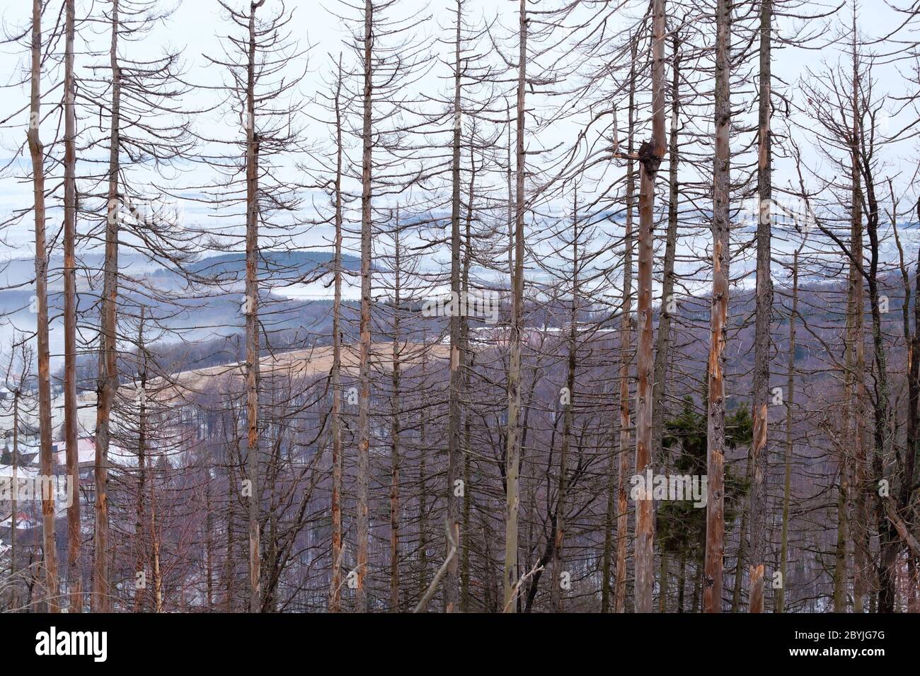 Dry forest mountains hi-res stock photography and images - Alamy