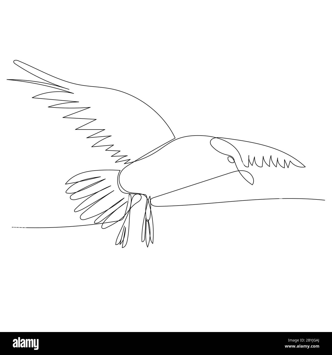 vector, on a white background, a continuous line drawing of a bird ...