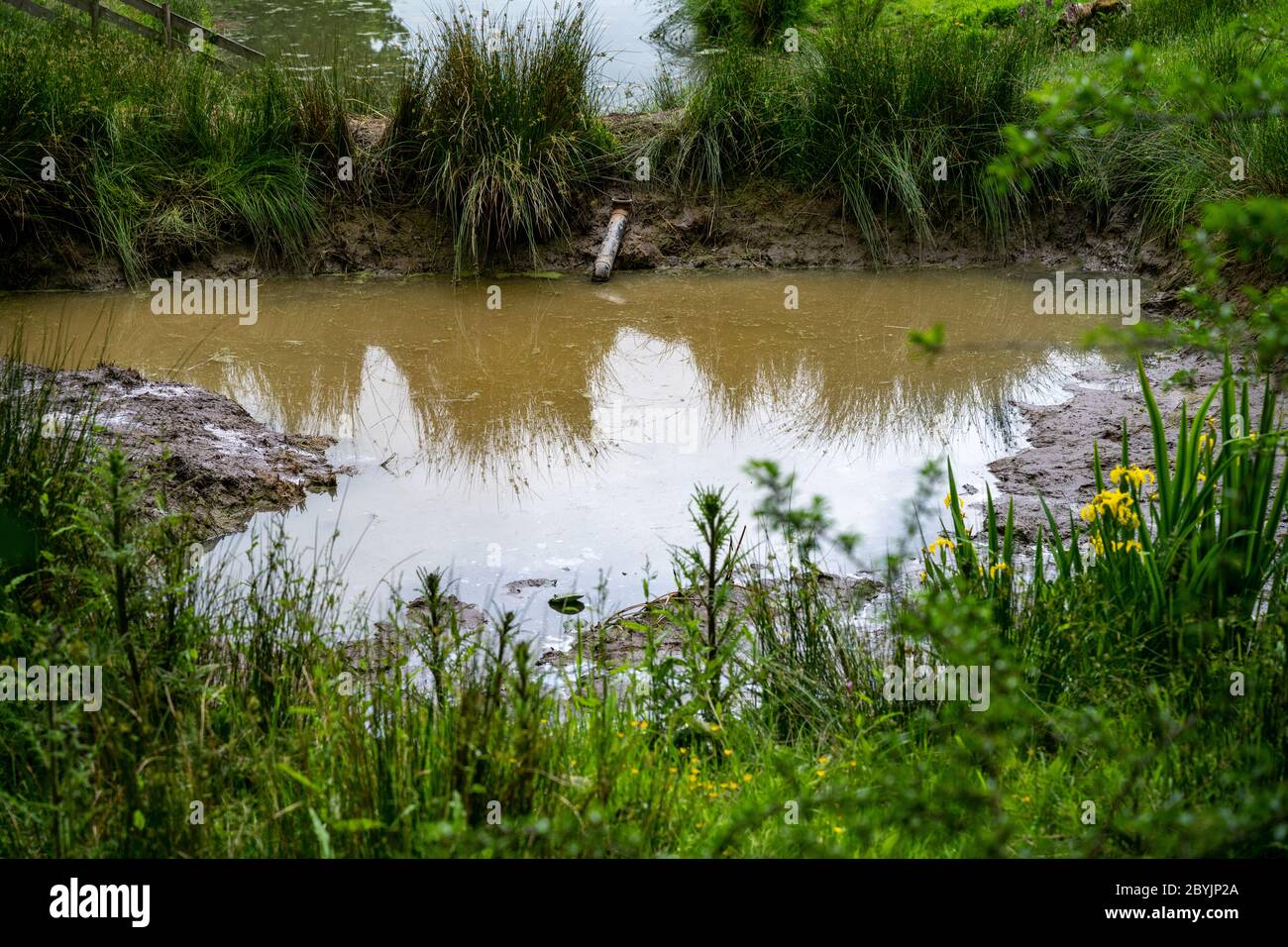Drained habitat hi-res stock photography and images - Alamy