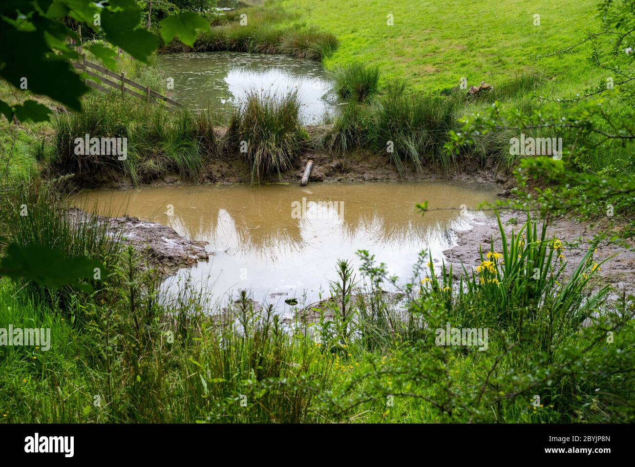 One of three wildlife ponds in a field in the UK being drained Stock ...