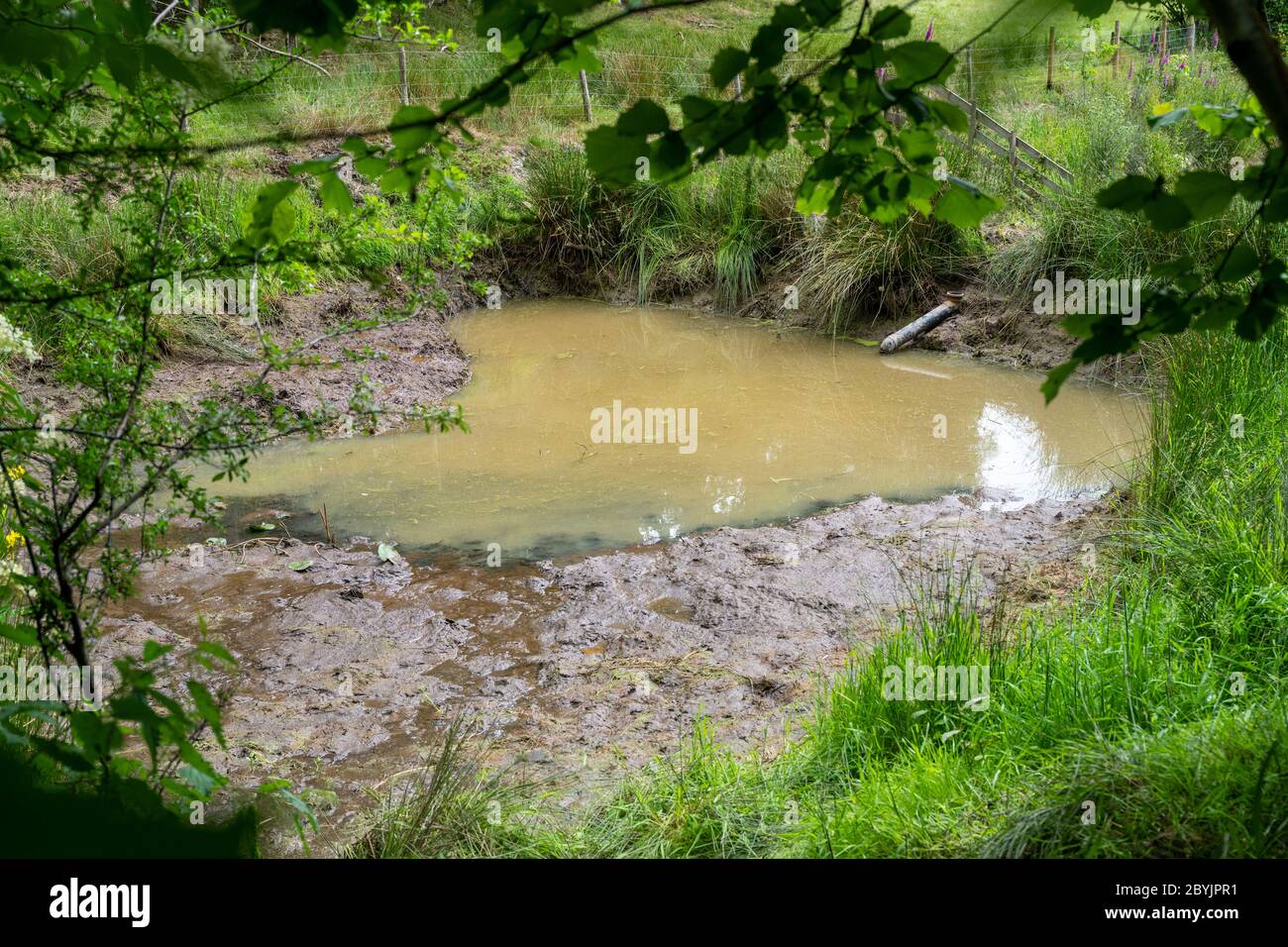 Drained habitat hi-res stock photography and images - Alamy