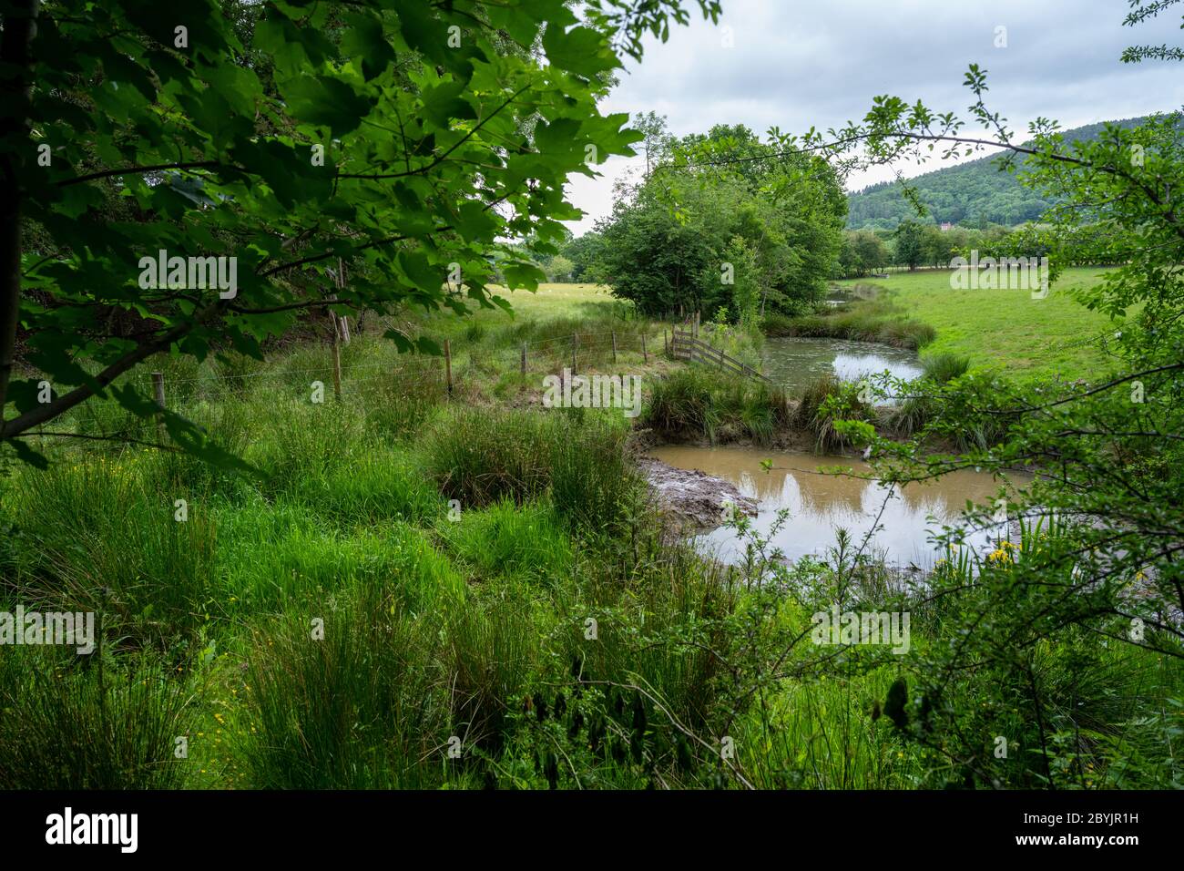 One of three wildlife ponds in a field in the UK being drained Stock ...