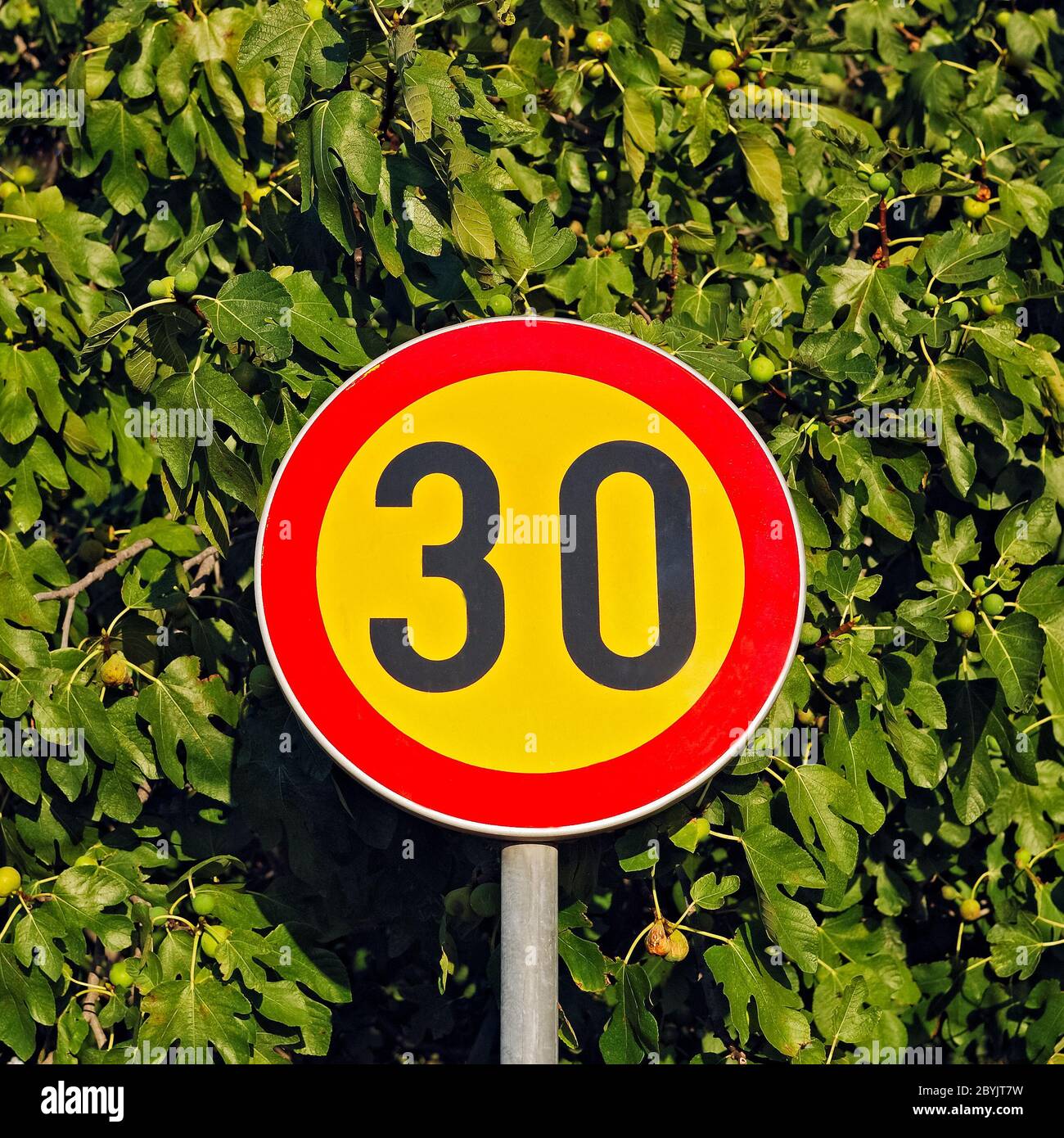 Speed Limit 30 Km H Stock Photo Alamy