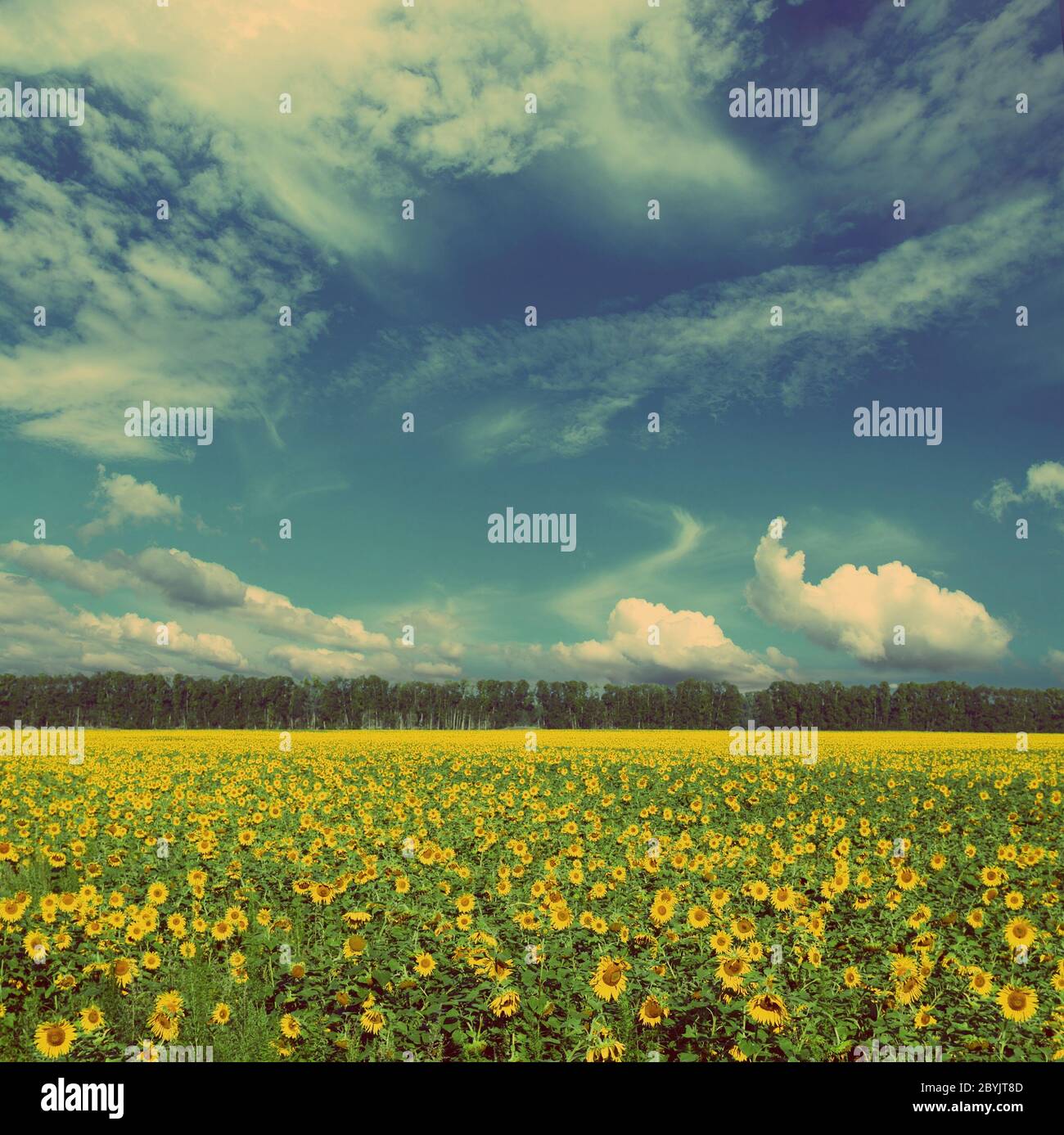 Vintage style field hi-res stock photography and images - Alamy