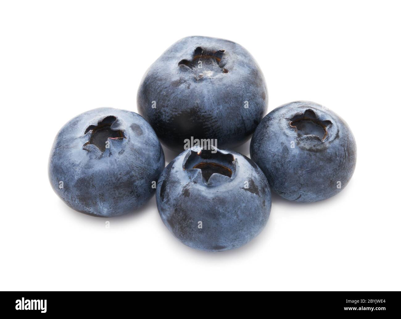 Indigo plant Cut Out Stock Images & Pictures - Alamy