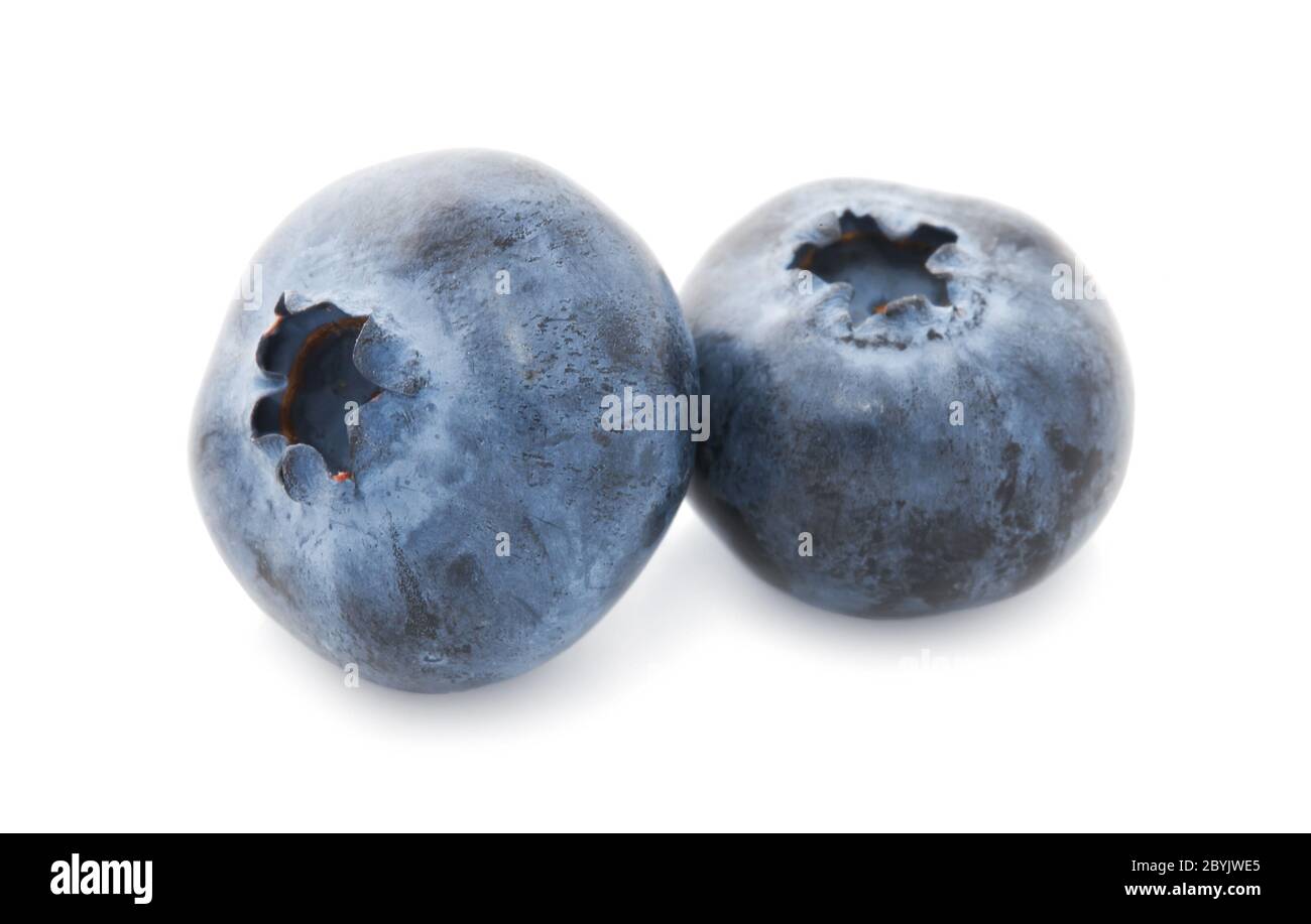 Blueberry plant Cut Out Stock Images & Pictures - Alamy