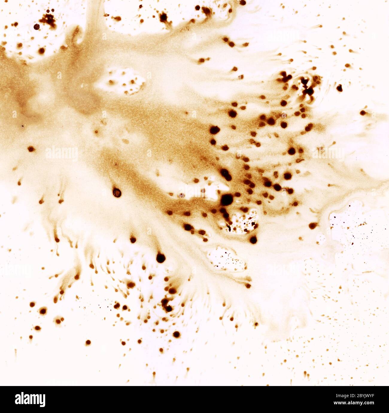 Background, coffee stains Stock Photo - Alamy