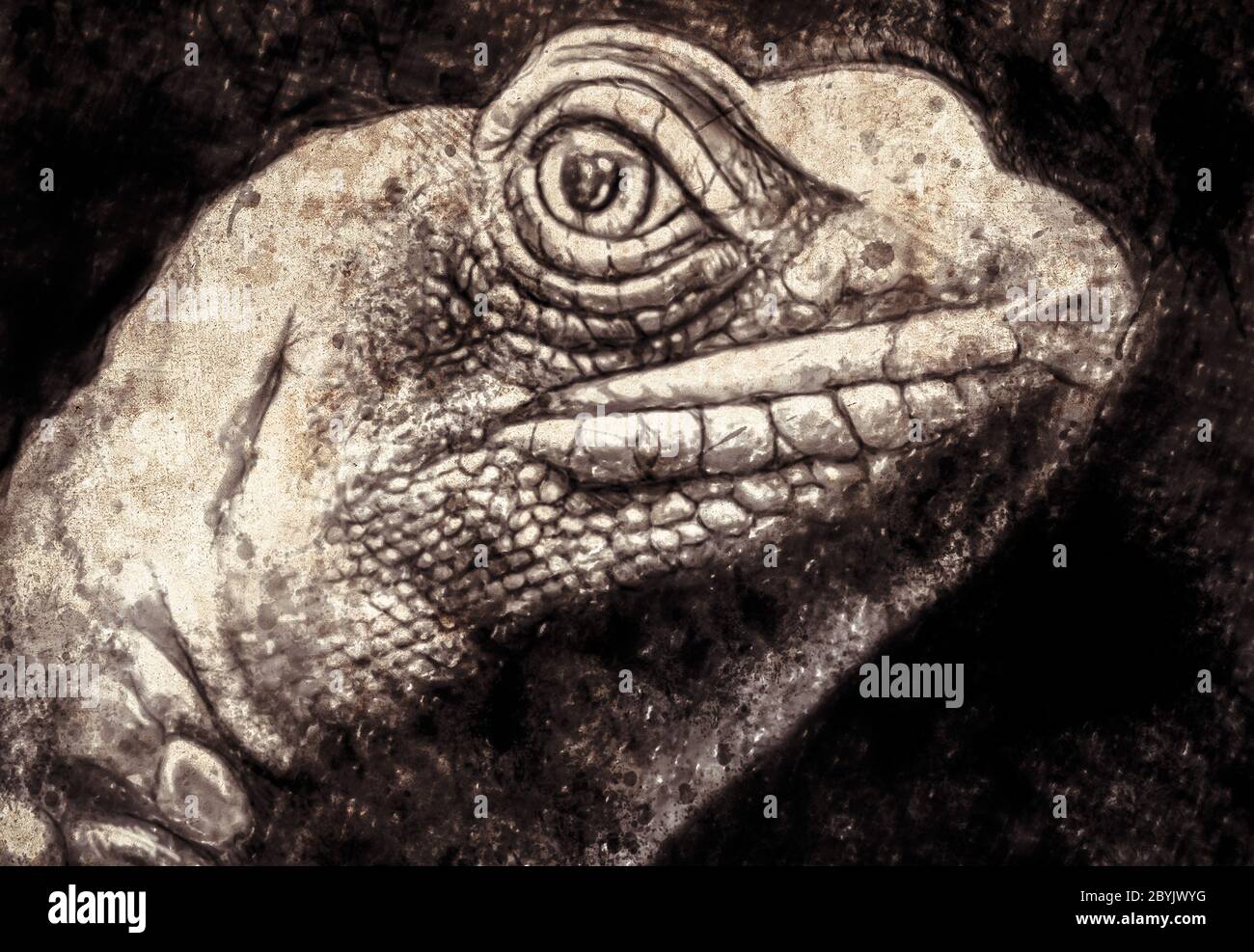 Sketch made with digital tablet of lizard head in sepia Stock Photo - Alamy