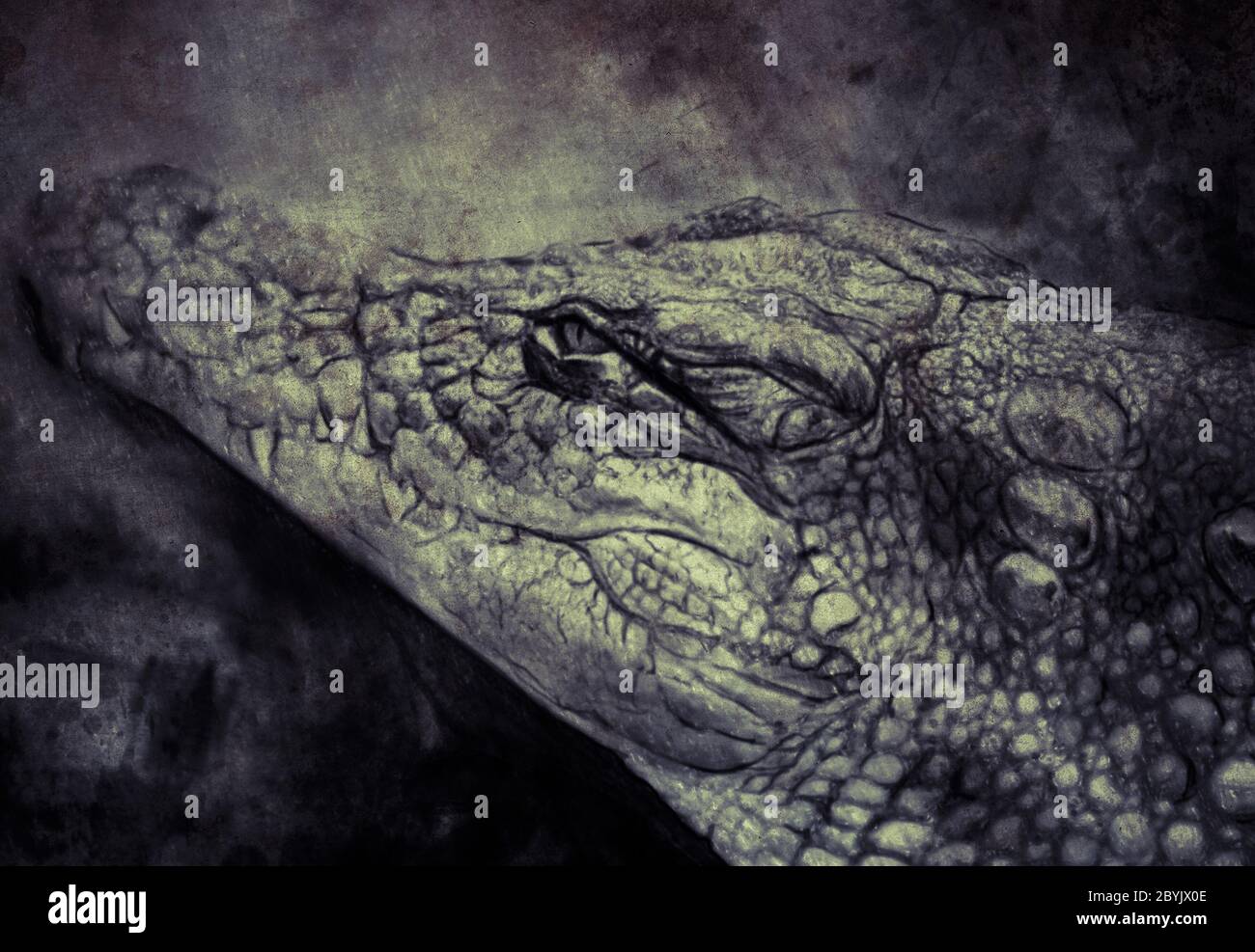 Illustration made with digital tablet, crocodile Stock Photo - Alamy