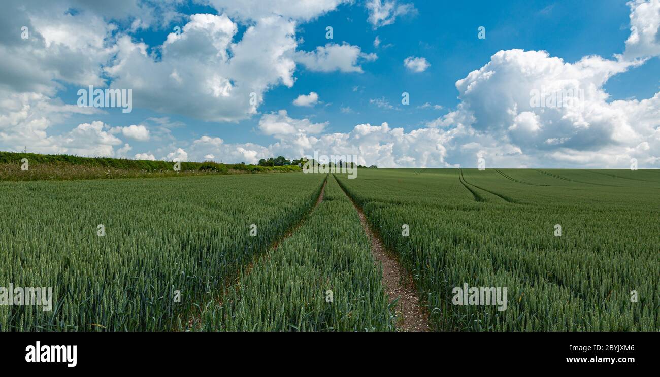 Dutch Barn Sixpenny Handley Dorset Stock Photo - Alamy