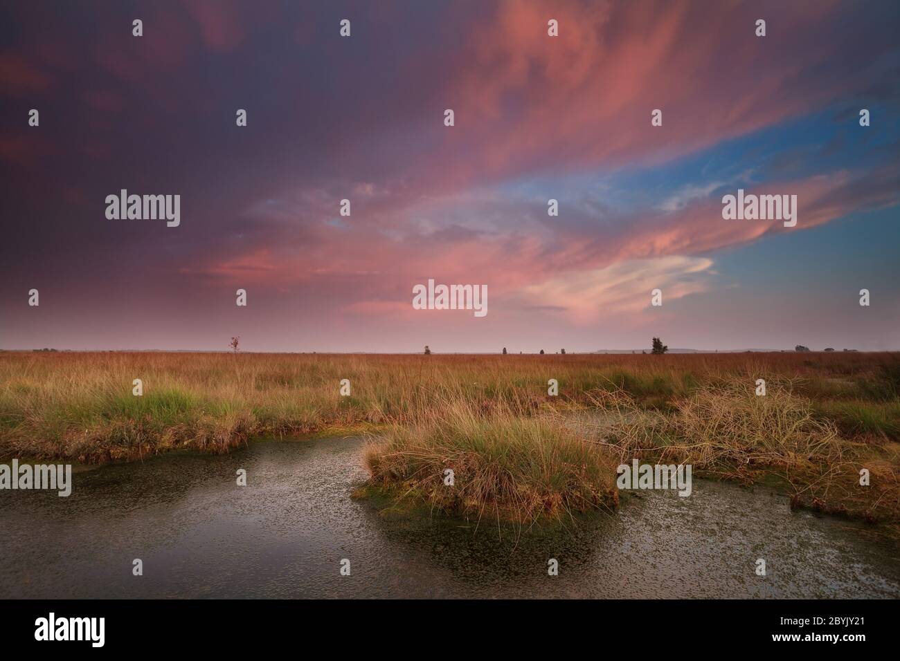 Sunset over wild swamp hi-res stock photography and images - Alamy