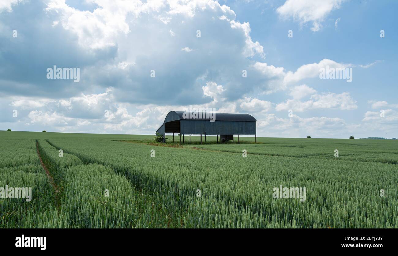 Dutch Barn Sixpenny Handley Dorset Stock Photo - Alamy