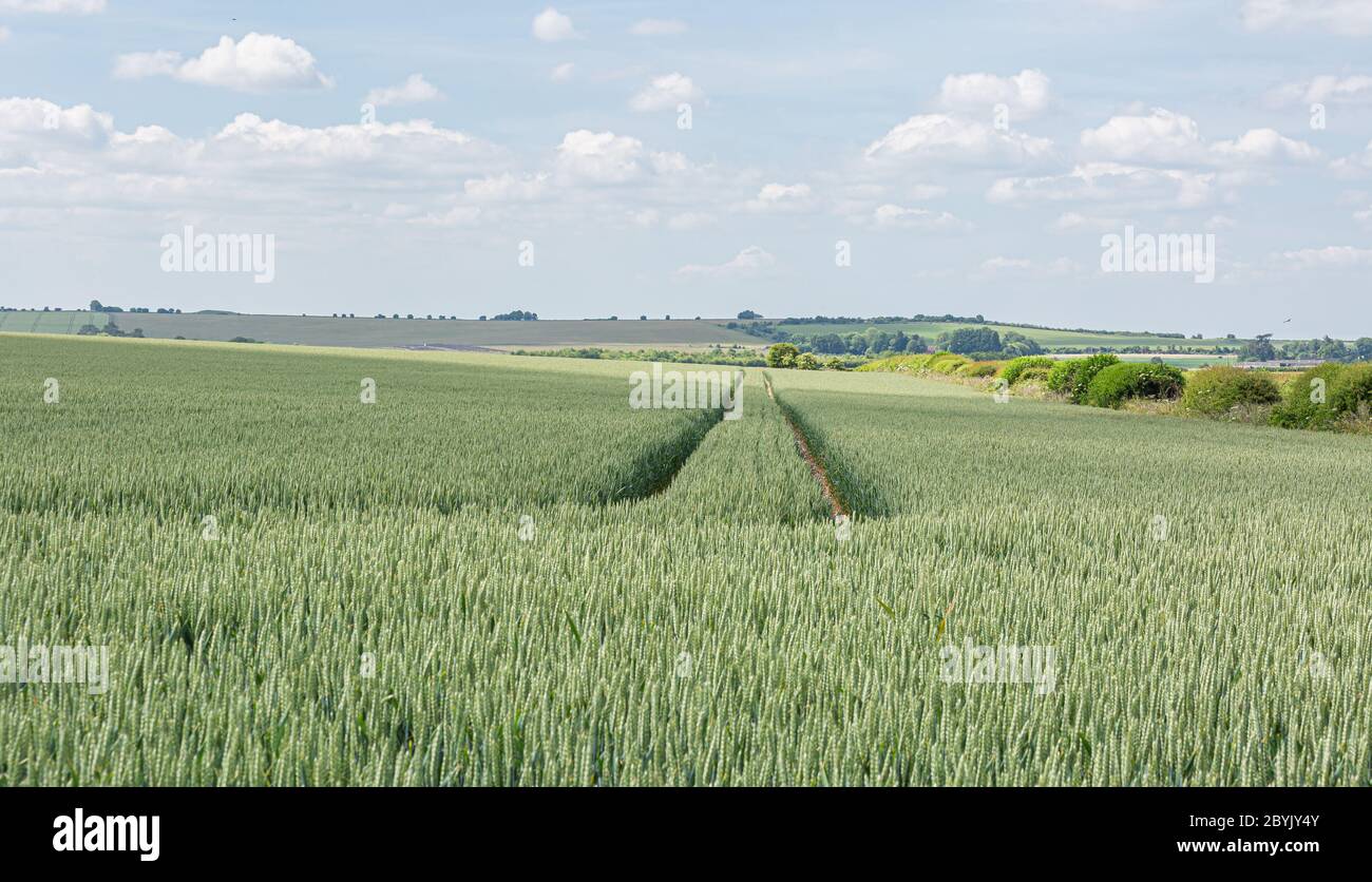 Dutch Barn Sixpenny Handley Dorset Stock Photo - Alamy