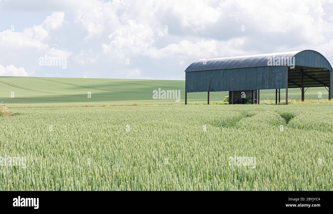 Dutch Barn Sixpenny Handley Dorset Stock Photo - Alamy