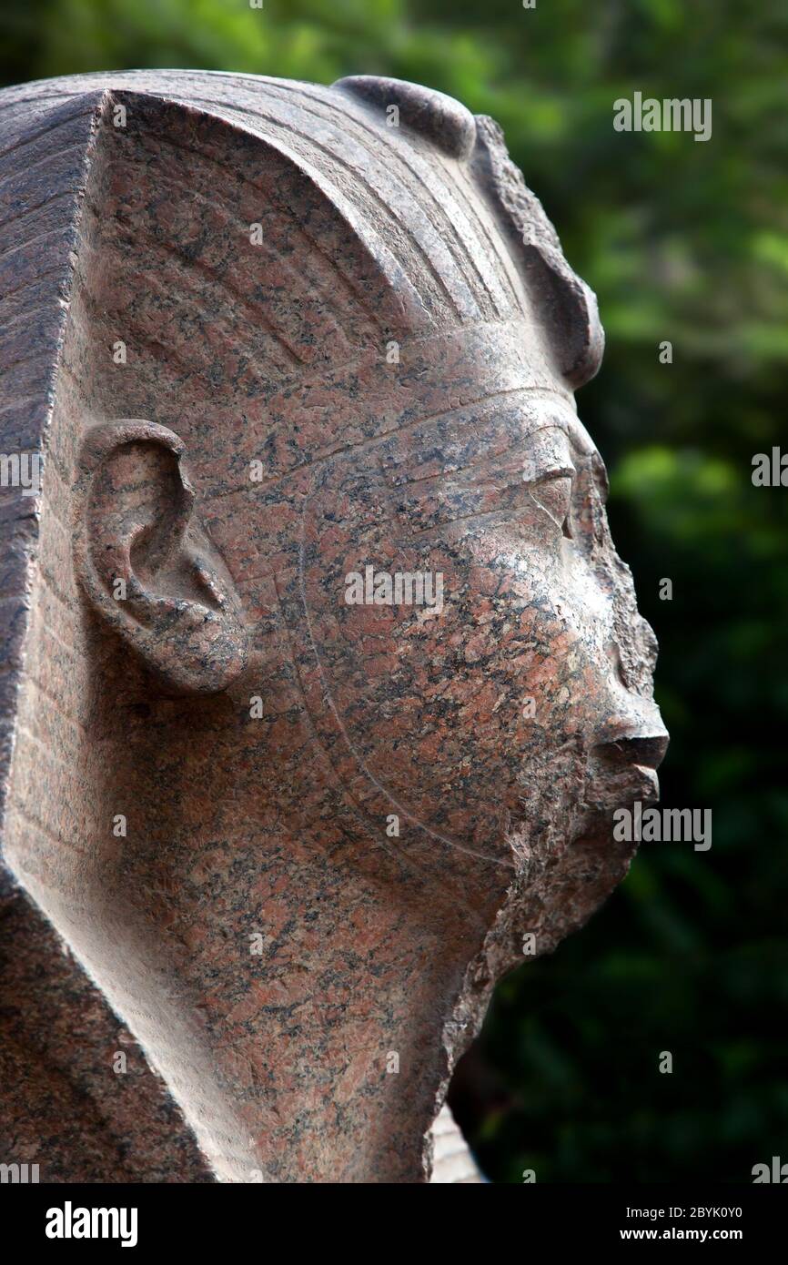 Pink granite Sphinx head detail, Cairo. The head of the Sphinx is ...
