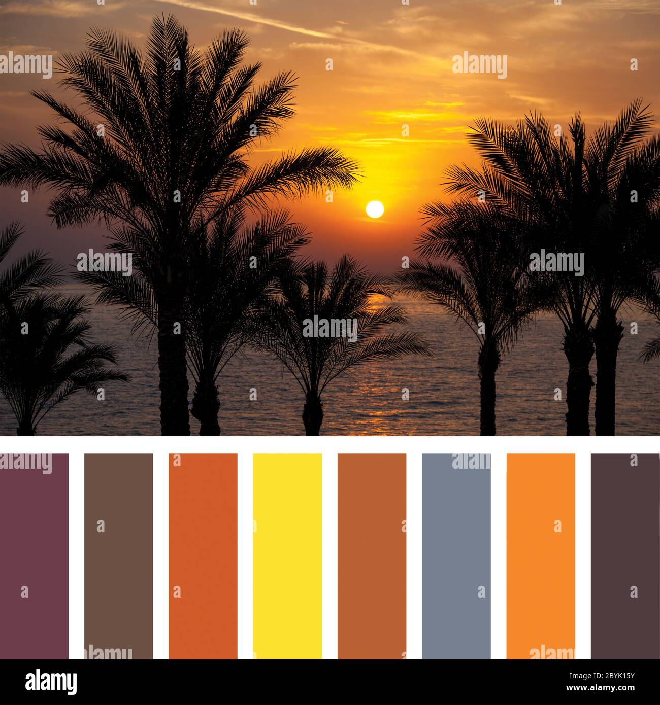 Sunrise over the Red with a colour palette of complimentary swatches ...