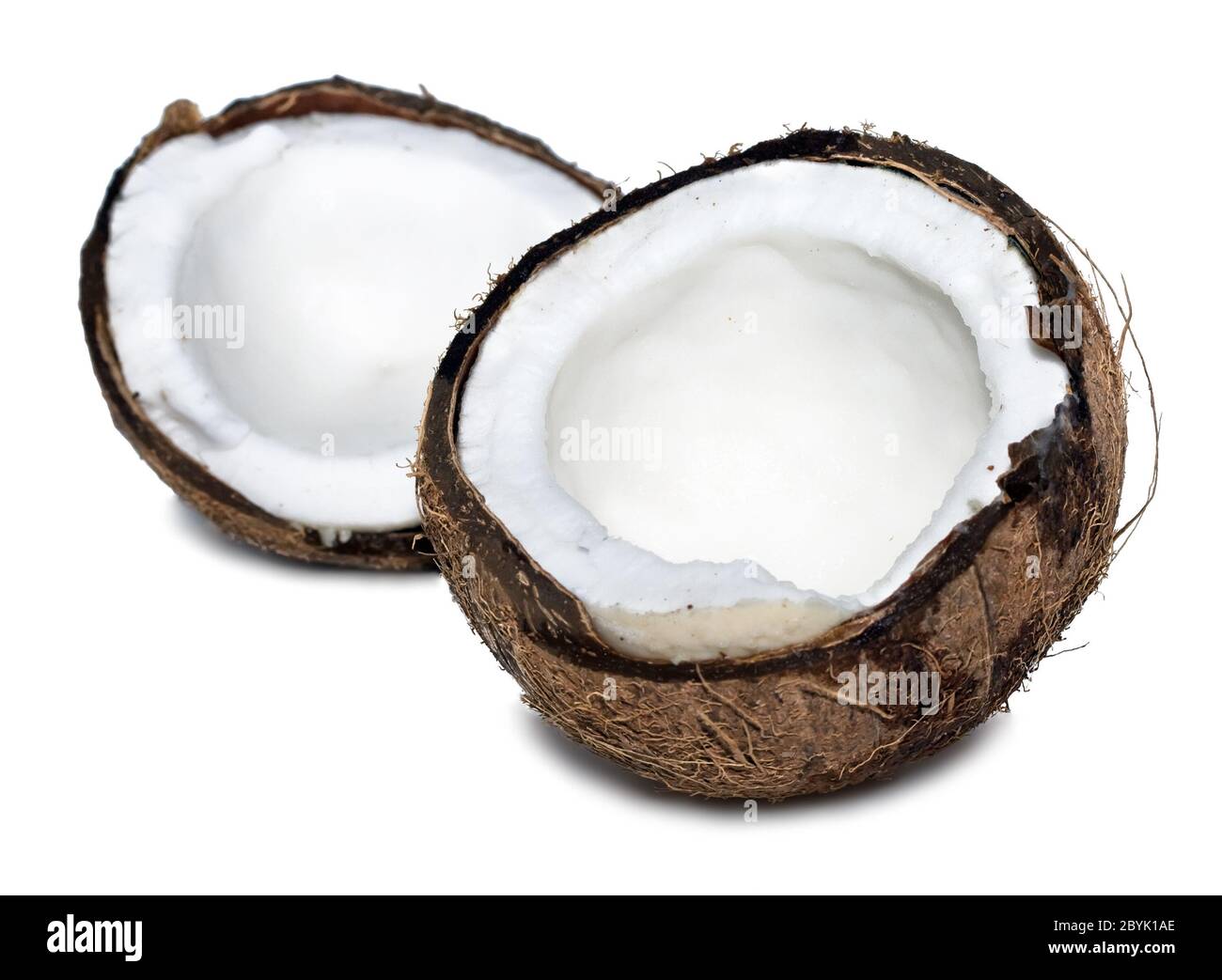 Coconut Cross Section High Resolution Stock Photography and Images - Alamy