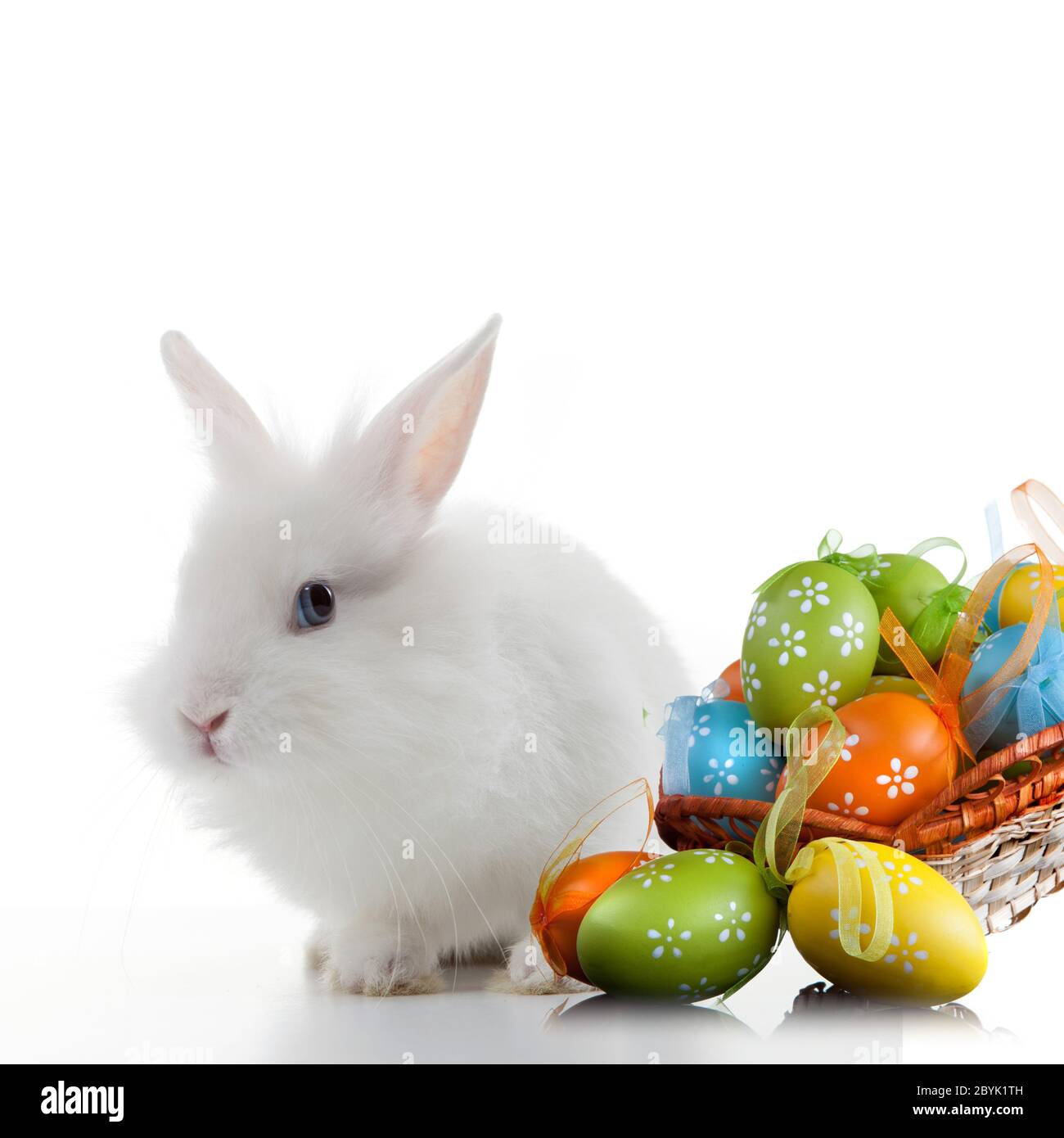 Rabbit and color easter eggs in basket isolated on white Stock Photo ...