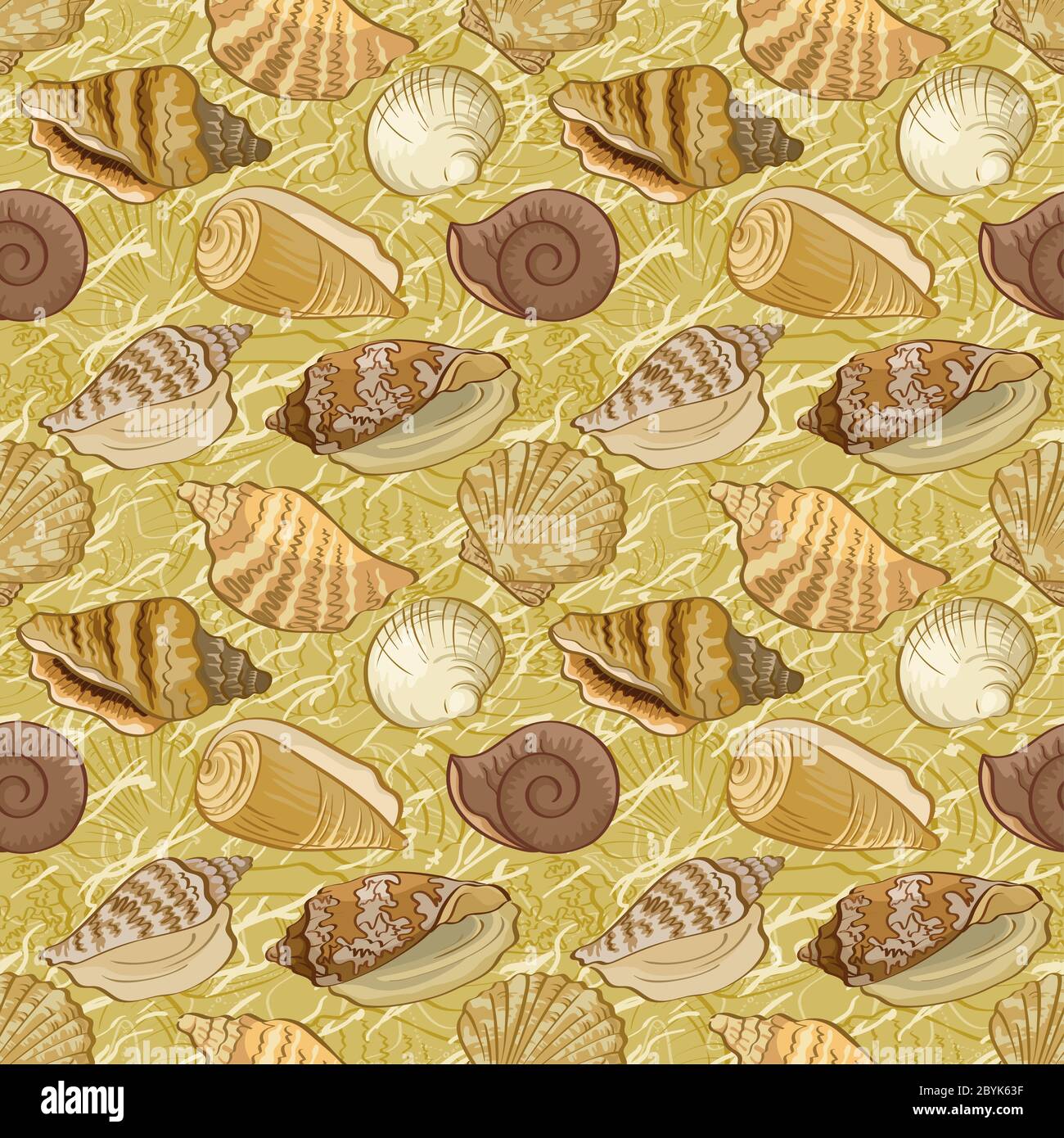 Cartoon seashells hi-res stock photography and images - Alamy