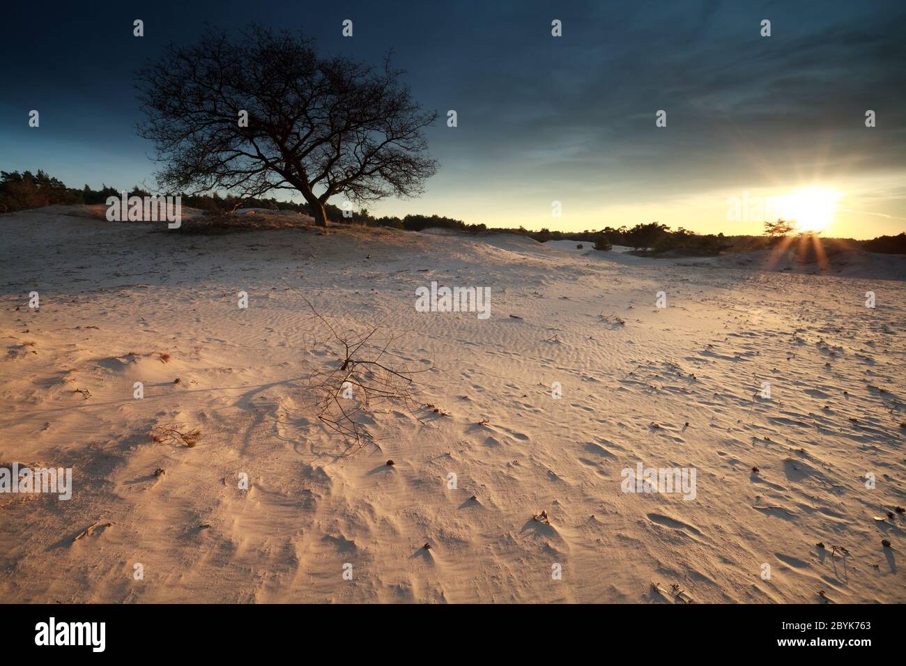 Gold desert sunset sand texture hi-res stock photography and images - Alamy