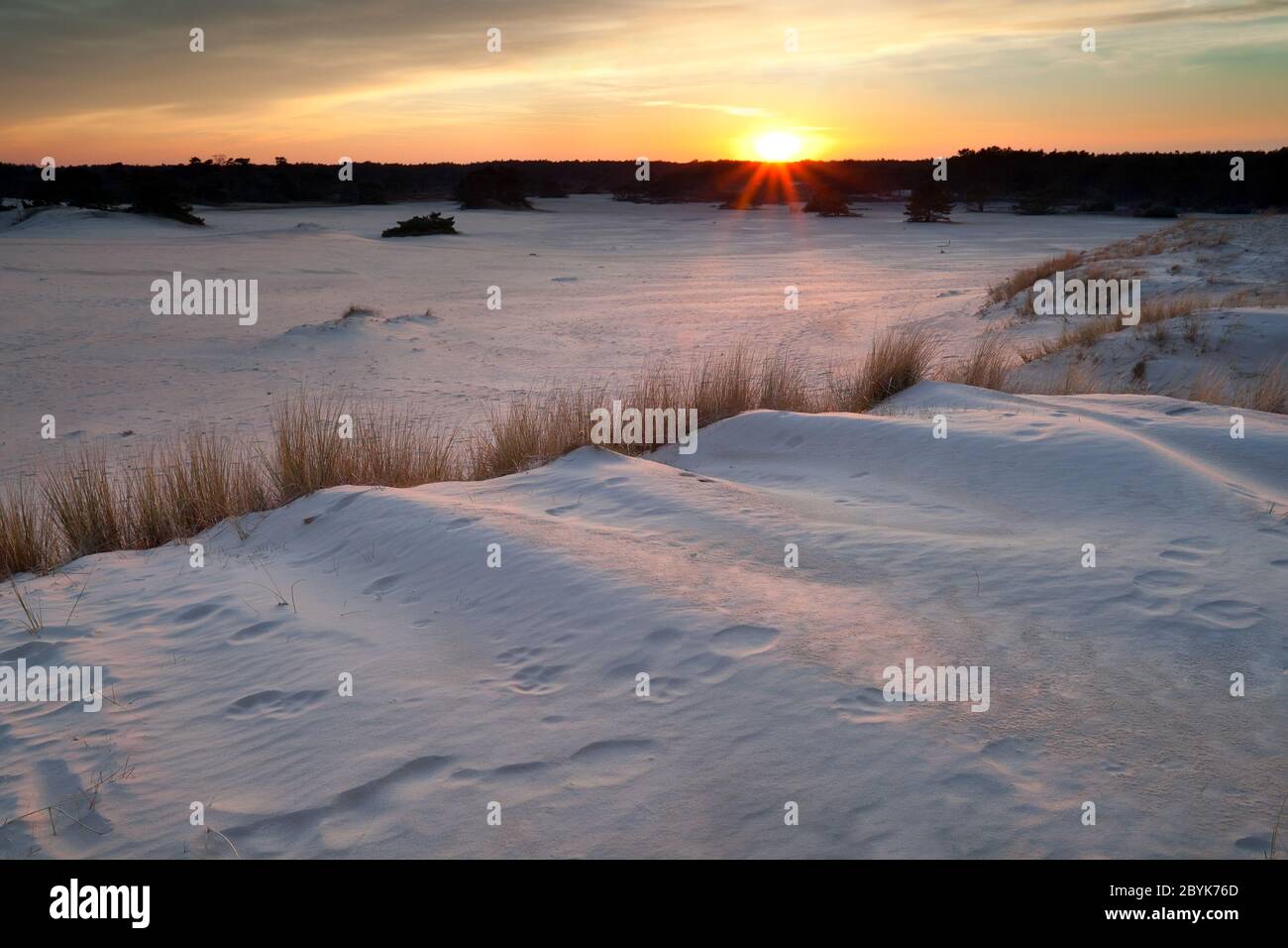 Gold desert sunset sand texture hi-res stock photography and images - Alamy
