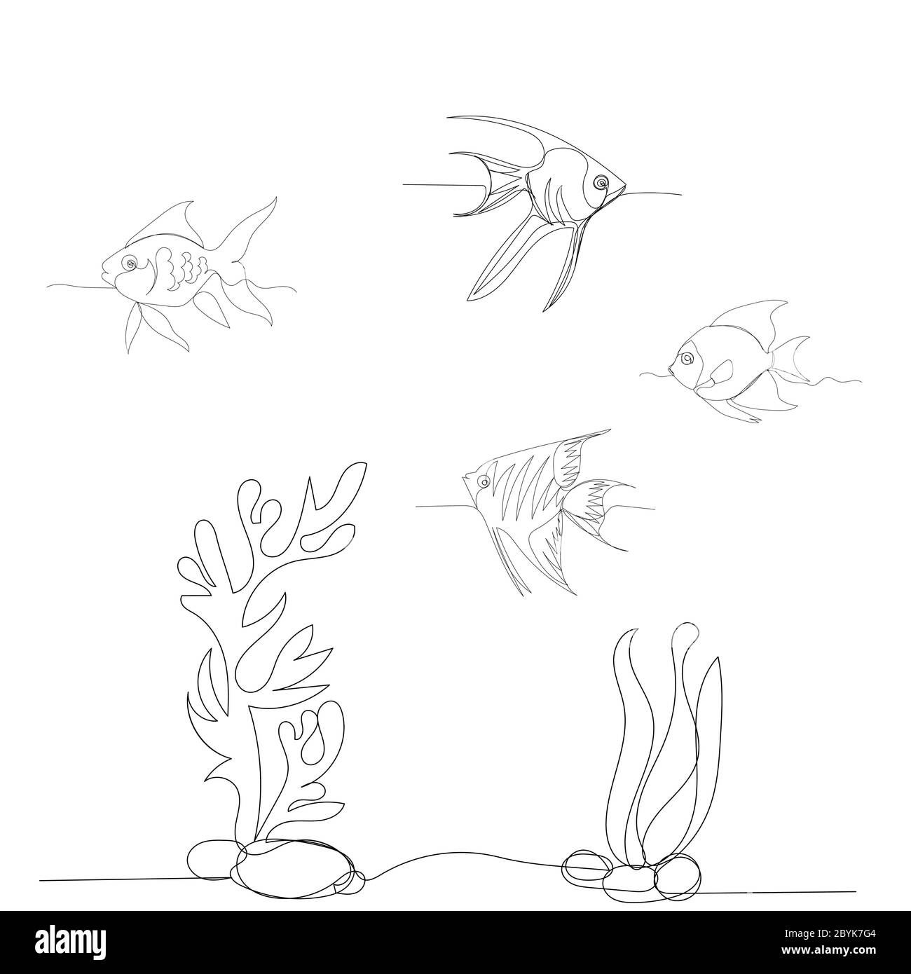 drawing with a continuous line of fish Stock Vector Image & Art - Alamy