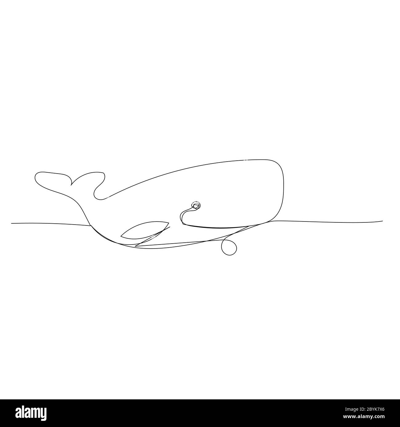 vector, isolated, single line drawing continuous, blue whale Stock ...