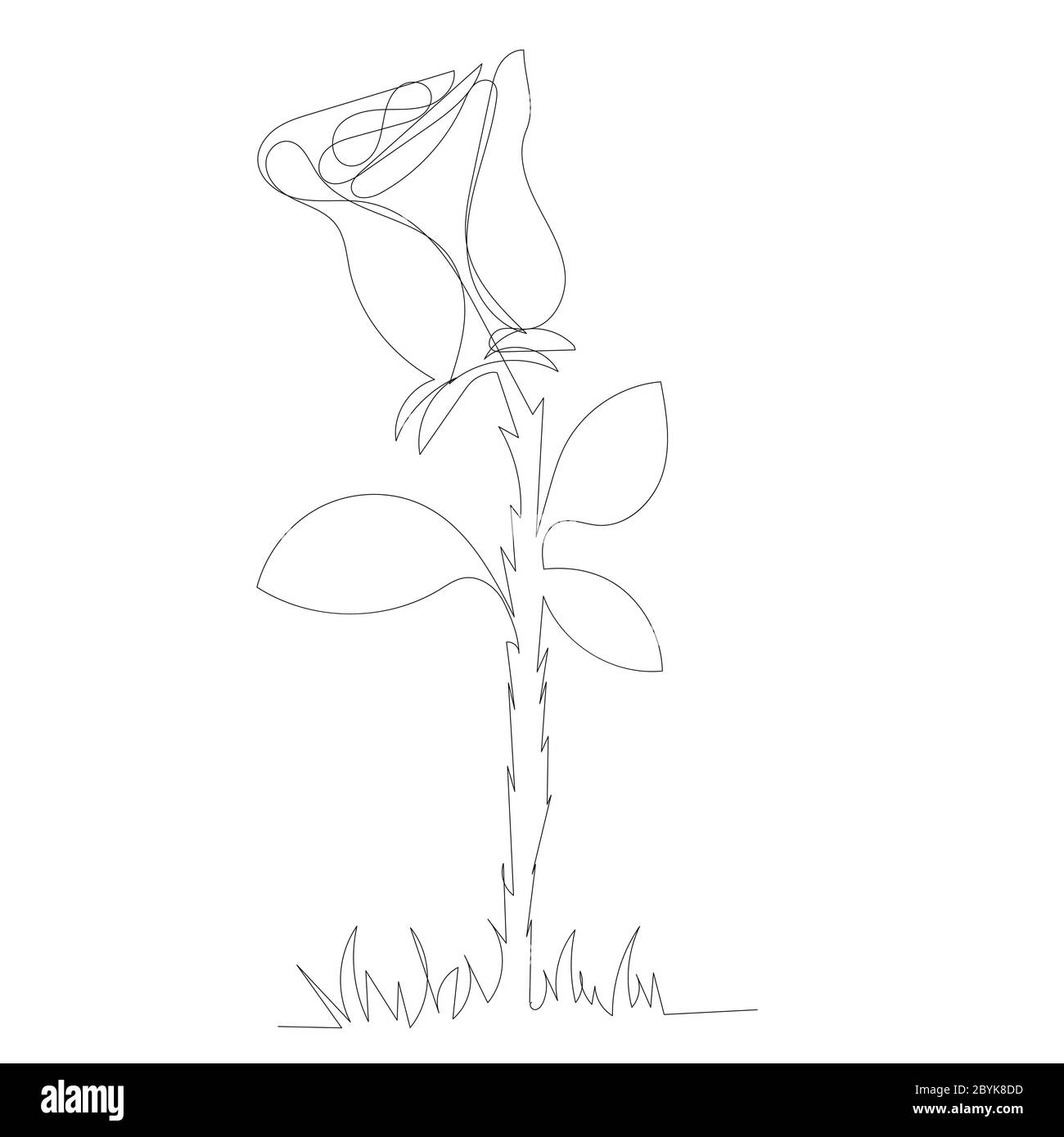 vector, isolated, rose continuous line drawing Stock Vector Image & Art ...