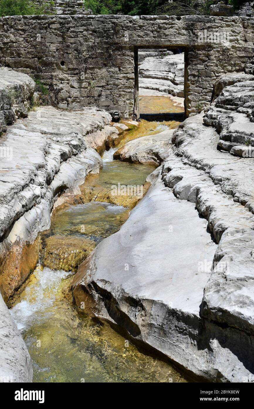 Small papigo hi-res stock photography and images - Alamy