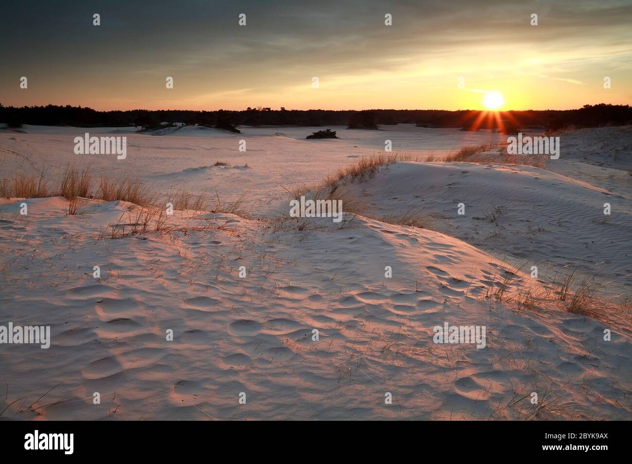 Gold dunes hi-res stock photography and images - Alamy
