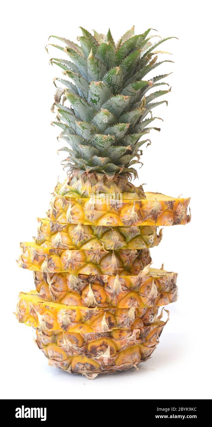 Pineapple botanical Cut Out Stock Images & Pictures - Alamy