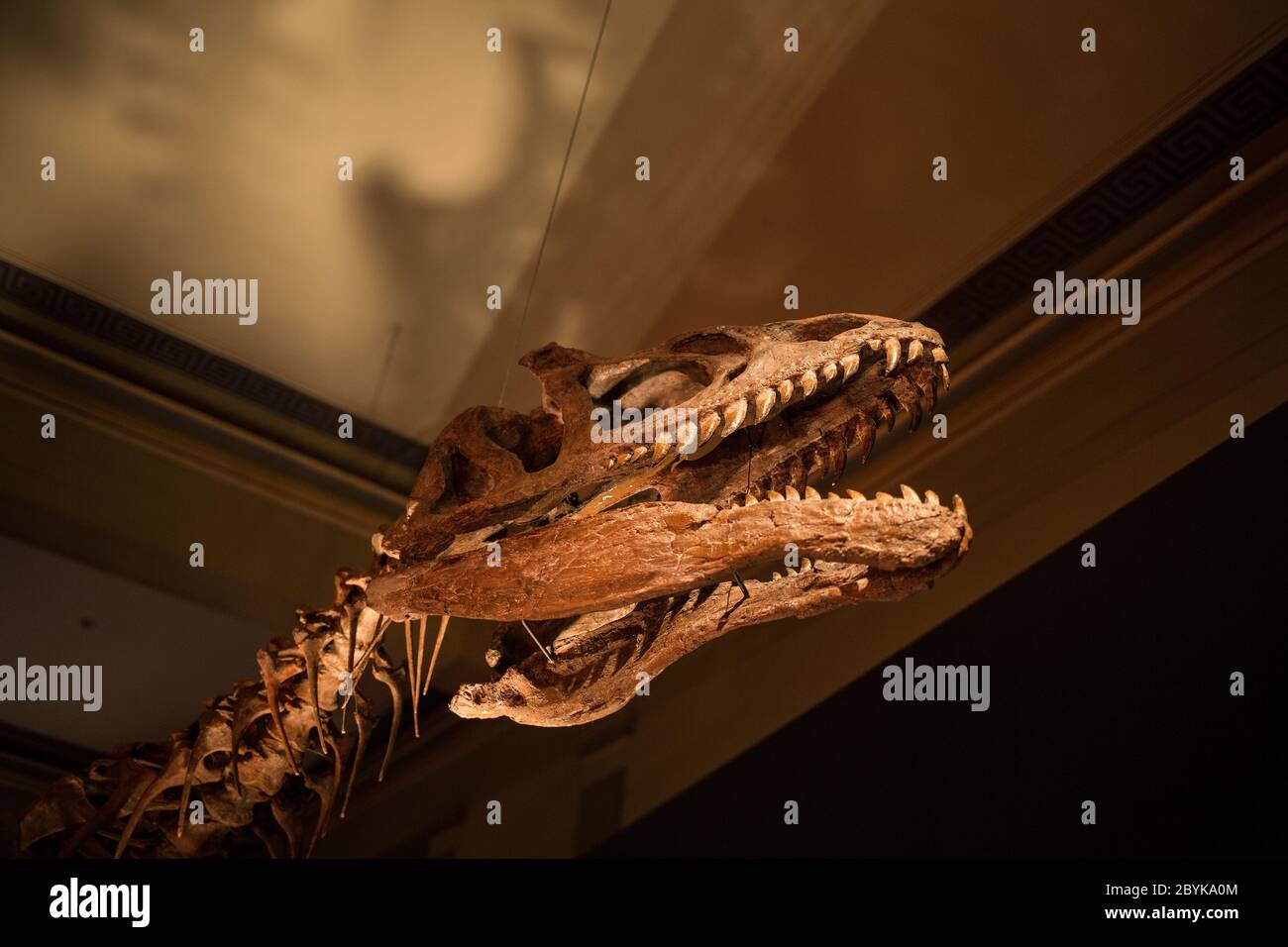 Natural History Museum Basel, Switzerland, Naturhistorisches Museum ...