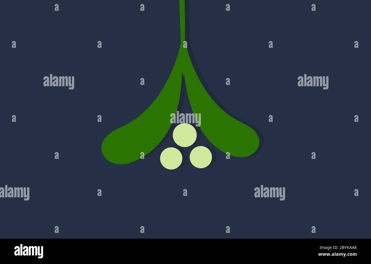 Mistletoe leaves hanging branch, Christmas symbol. Vector illustration ...