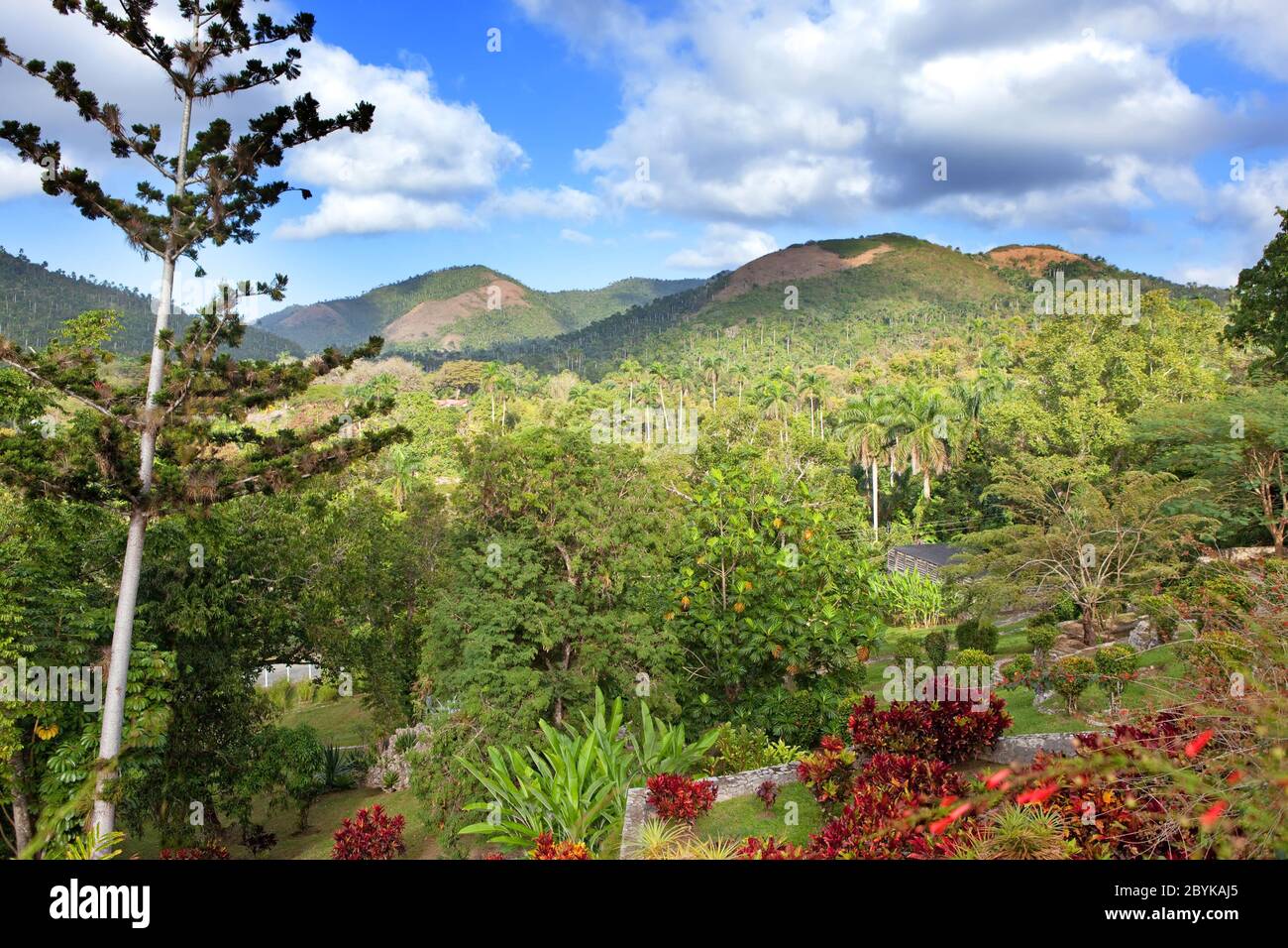 Habana tropical hi-res stock photography and images - Alamy