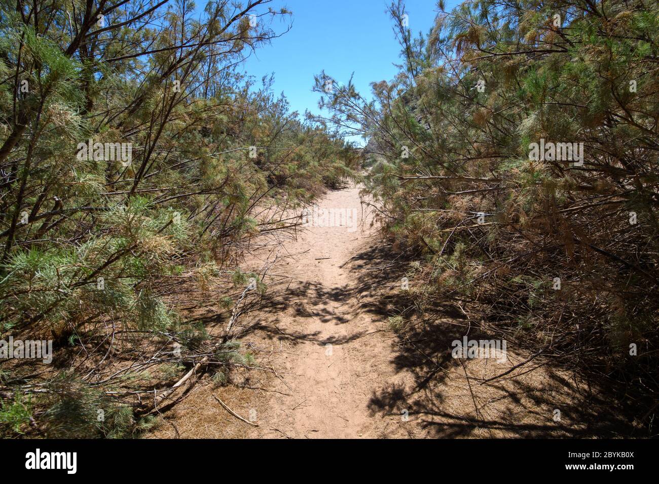 Cutting a path hi-res stock photography and images - Alamy