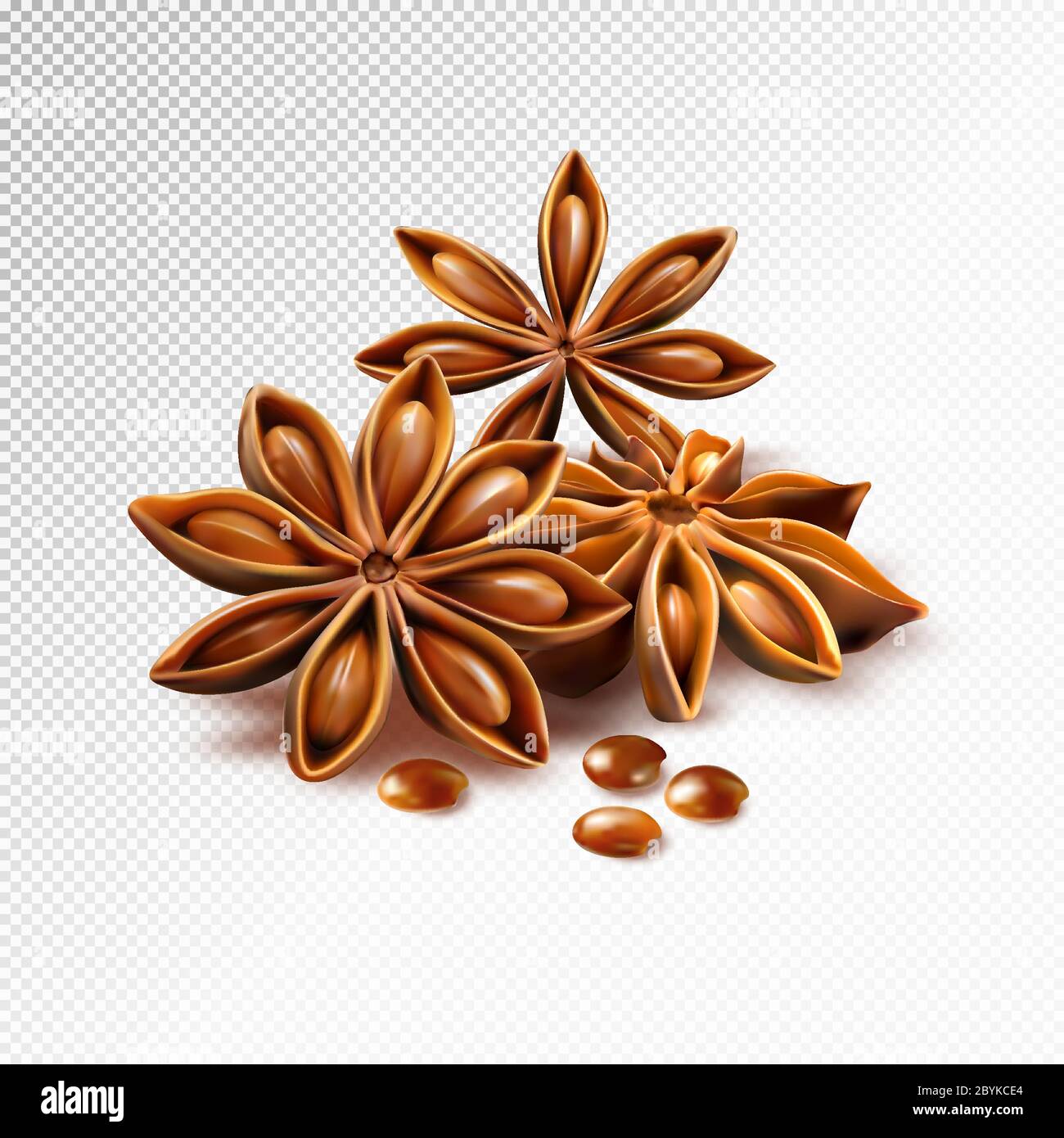 Anise stars isolated on transparent background Stock Vector Image & Art ...