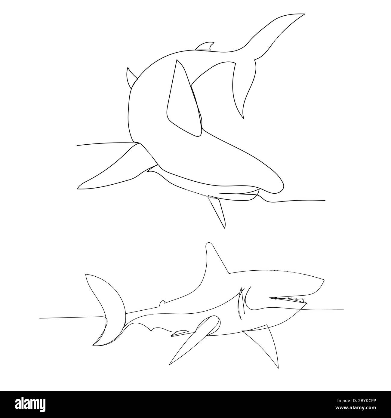 vector, isolated, shark continuous line drawing Stock Vector Image ...