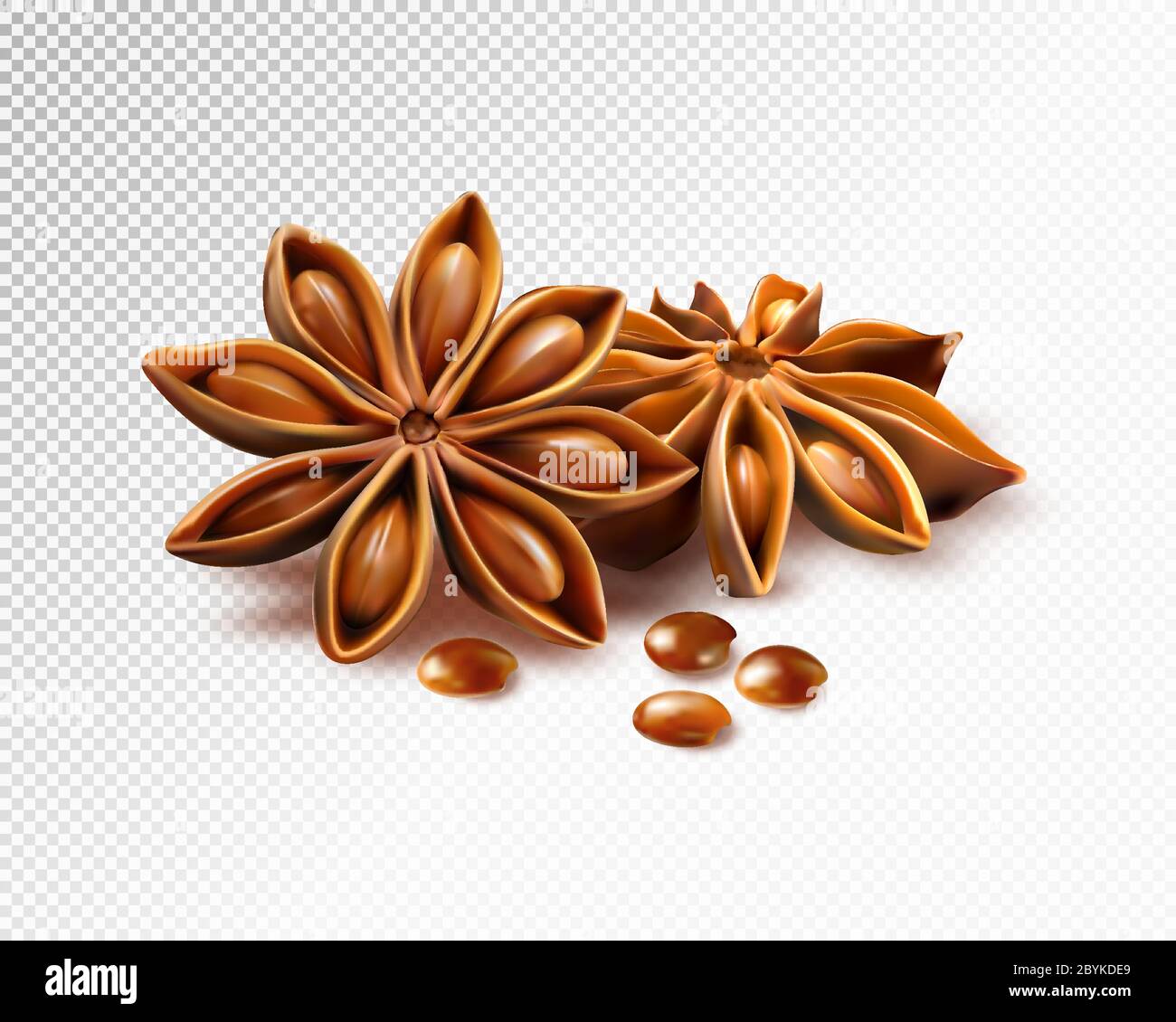 Anise stars isolated on transparent background Stock Vector Image & Art ...