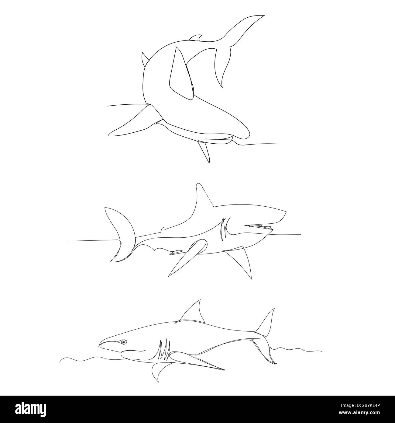 Shark one line fish Cut Out Stock Images & Pictures - Alamy