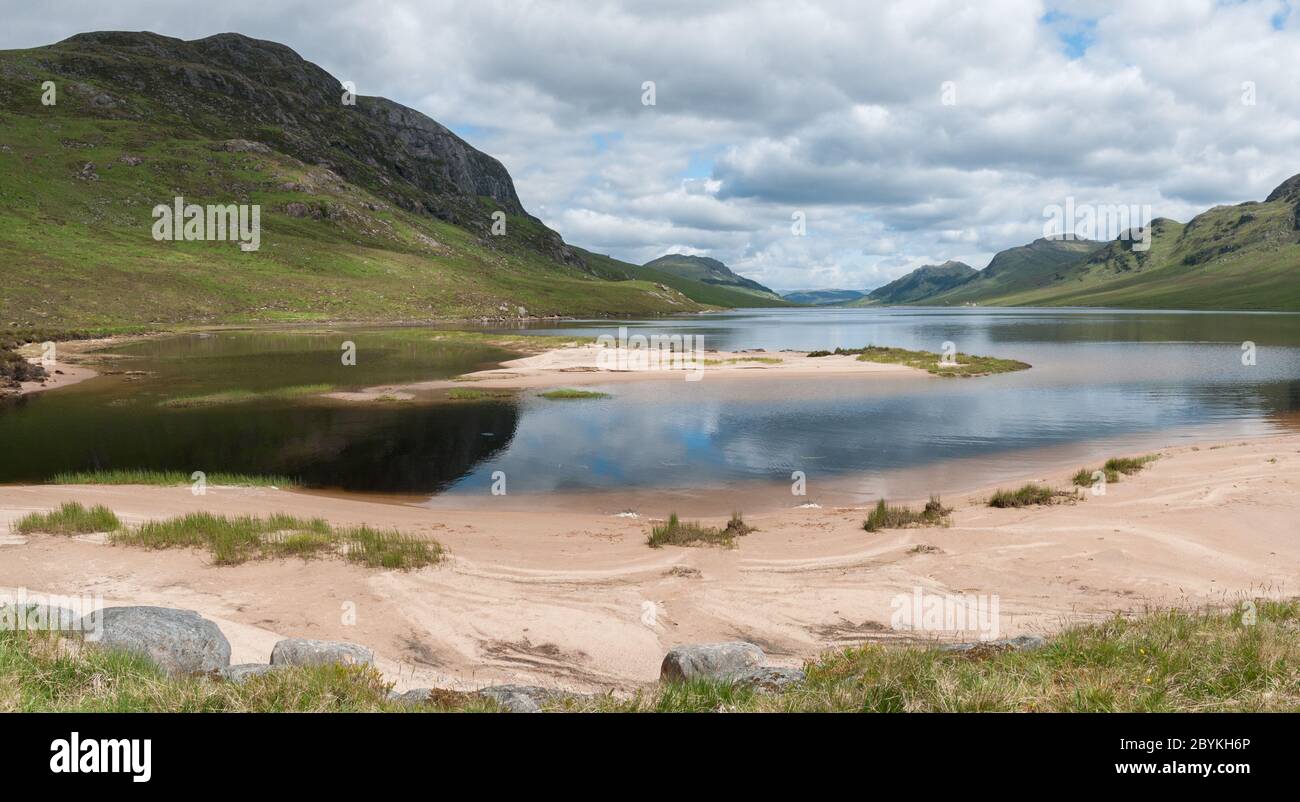 H earba hi-res stock photography and images - Alamy
