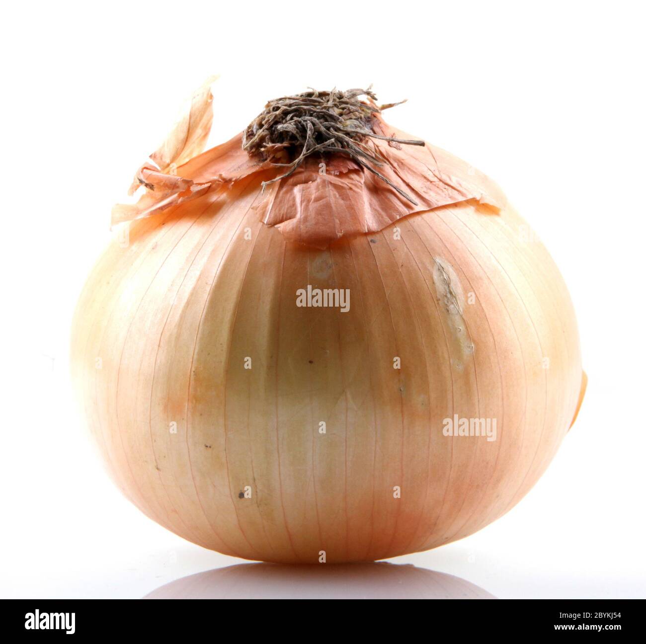 Fresh onion bulbs isolated on white background Stock Photo - Alamy