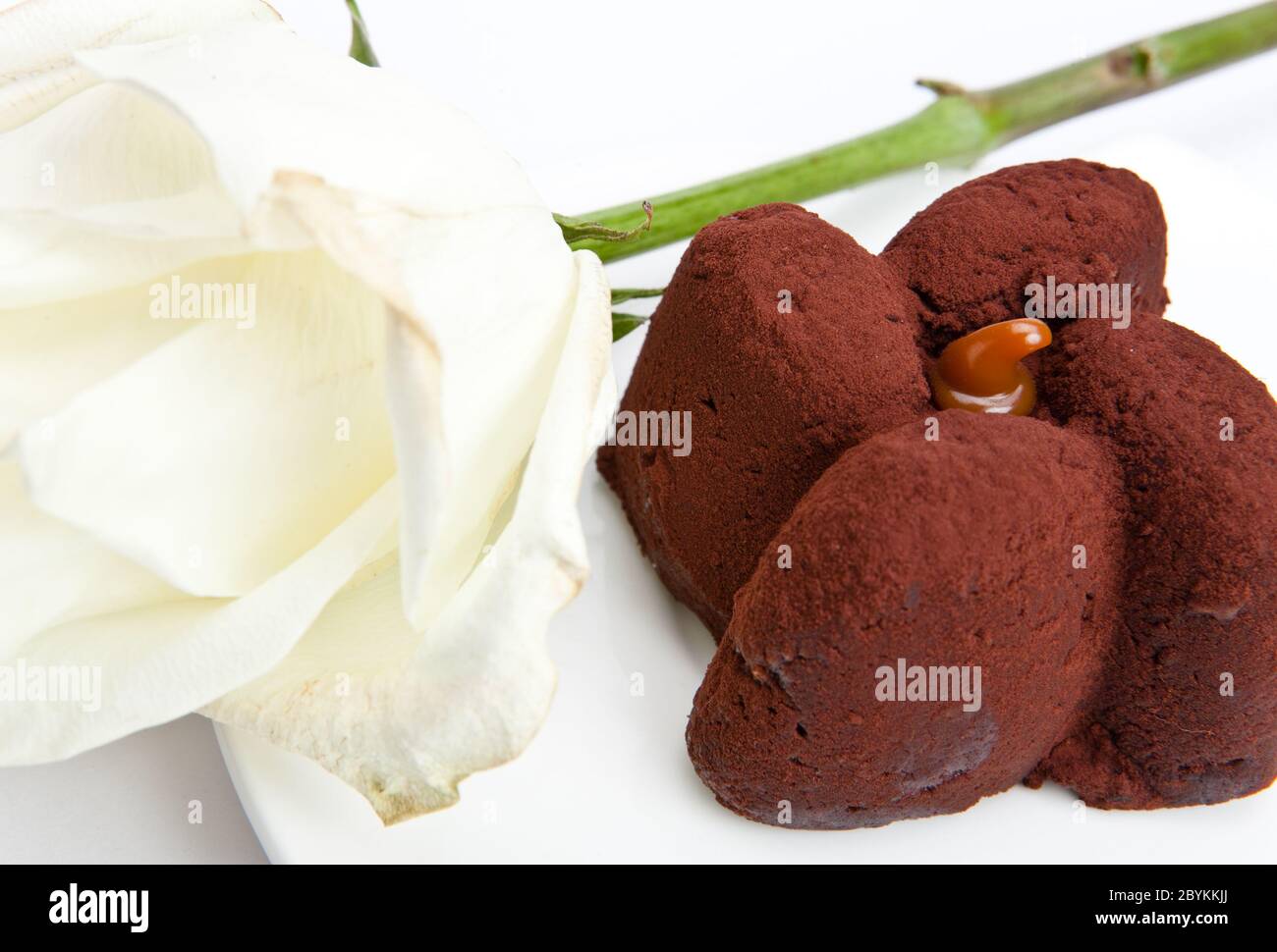 Chocolate cake and white rose Stock Photo - Alamy