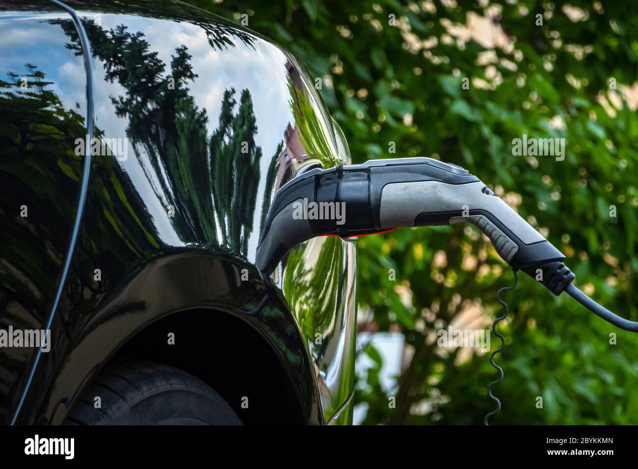 Charger plug in electric car on green environment background. New ...